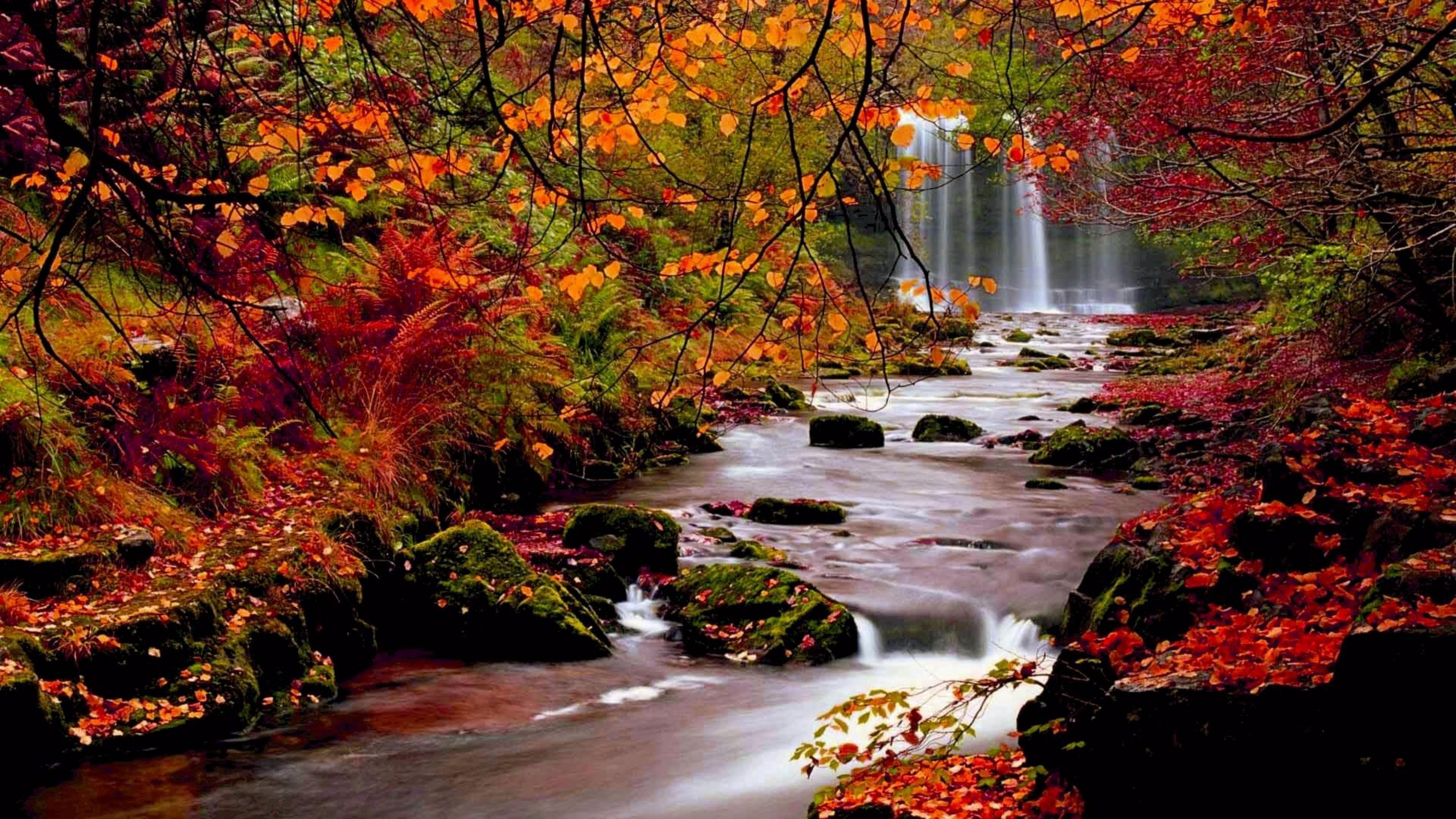 Peaceful Fall Wallpaper