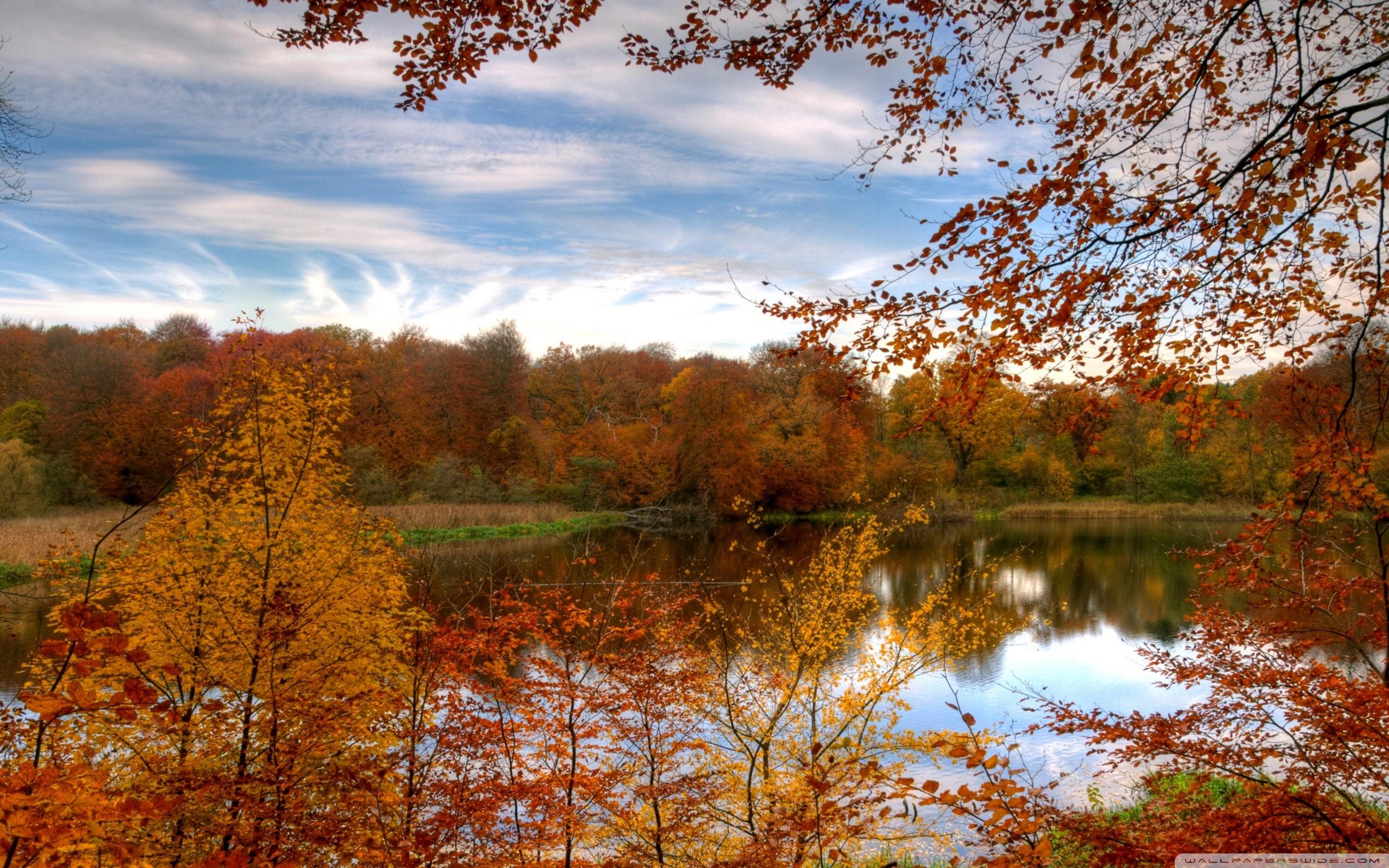 Calm Autumn Wallpapers - Top Free Calm Autumn Backgrounds - WallpaperAccess
