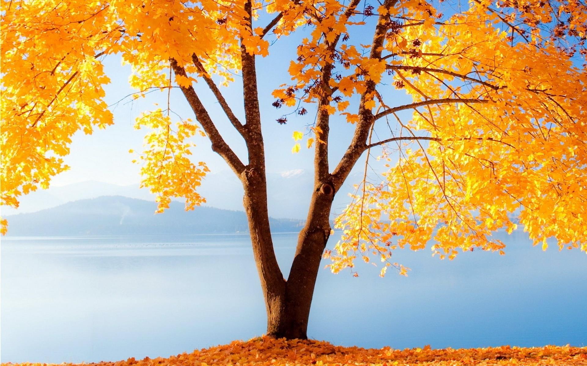 Calm Autumn Wallpapers - Top Free Calm Autumn Backgrounds - WallpaperAccess