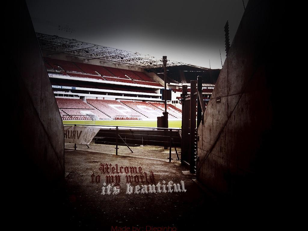 PSV Eindhoven Wallpapers - Top Free PSV Eindhoven Backgrounds ...