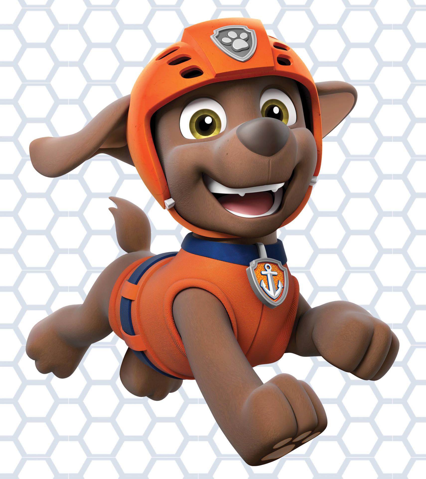Zuma Paw Patrol Wallpapers - Top Free Zuma Paw Patrol Backgrounds ...