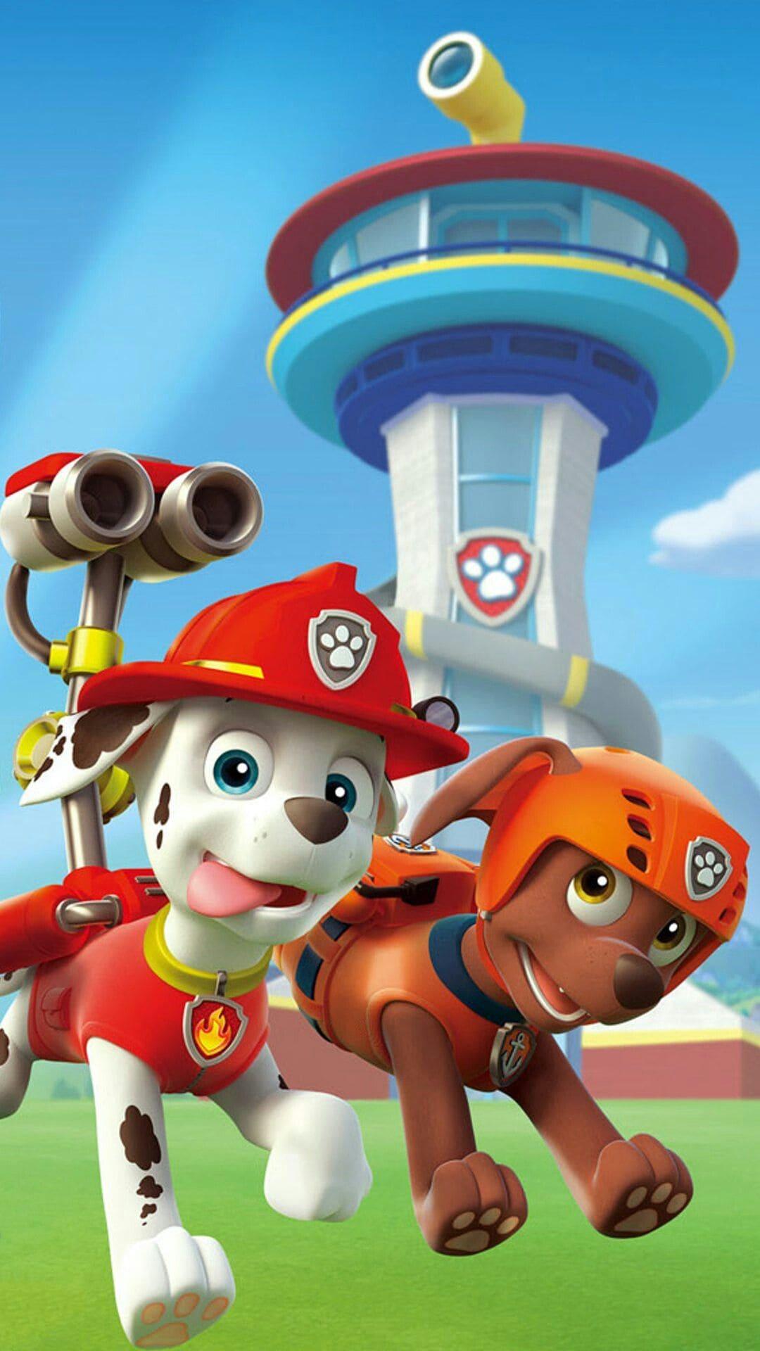 Zuma Paw Patrol Wallpapers - Top Free Zuma Paw Patrol Backgrounds ...