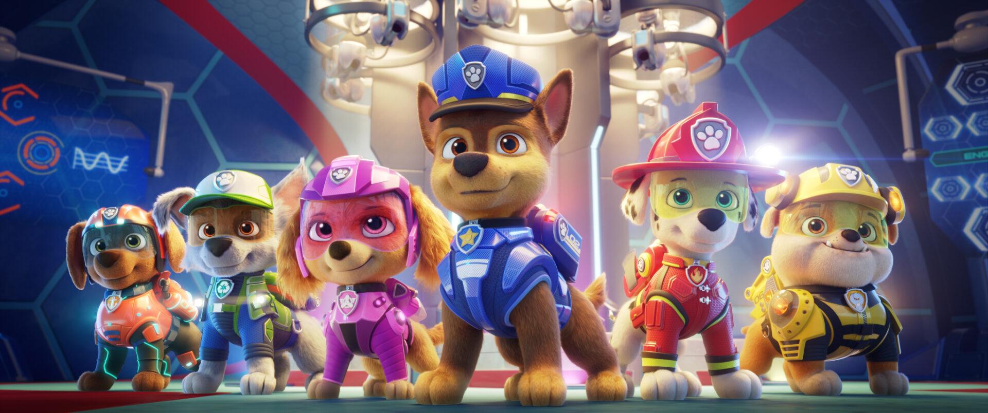 Zuma Paw Patrol Wallpapers - Top Free Zuma Paw Patrol Backgrounds ...