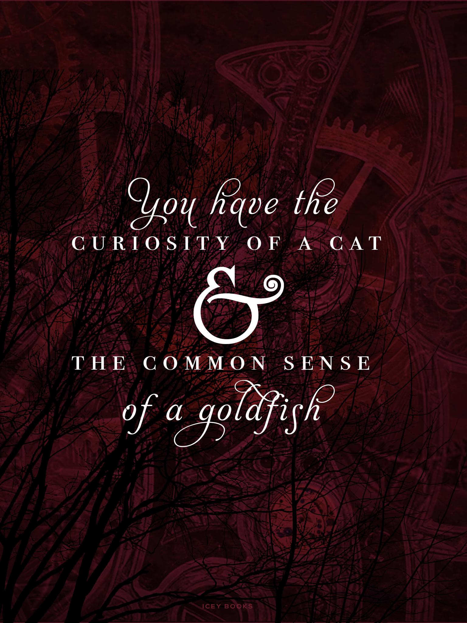 Bookish Wallpapers - Top Free Bookish Backgrounds - WallpaperAccess