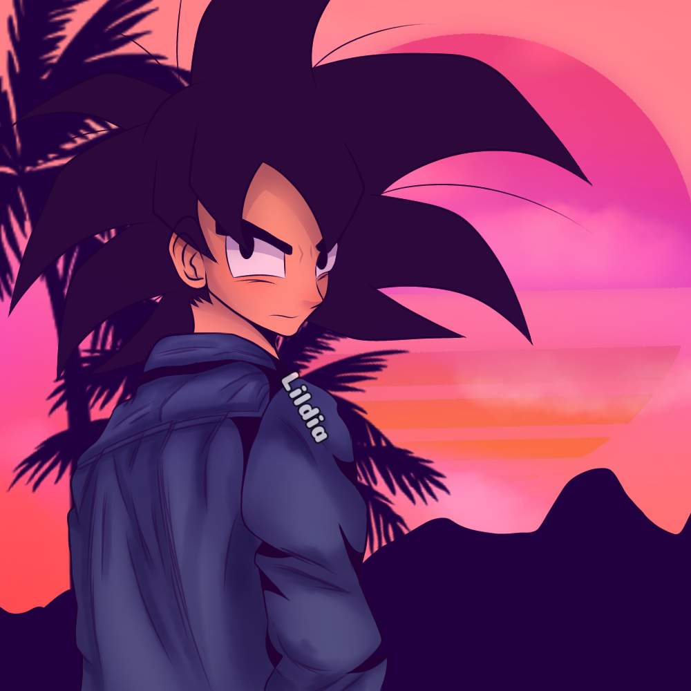 Goku Sunset Wallpapers - Top Free Goku Sunset Backgrounds - WallpaperAccess