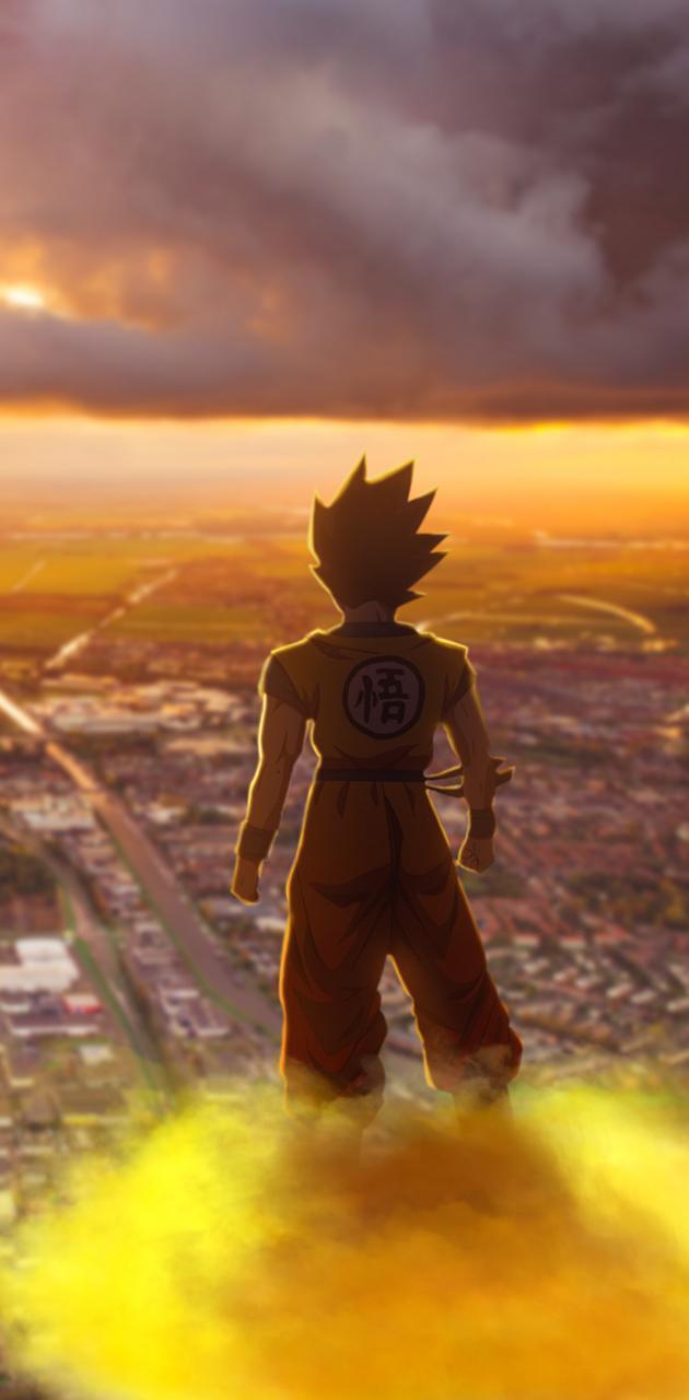 Goku Sunset Wallpapers - Top Free Goku Sunset Backgrounds - WallpaperAccess