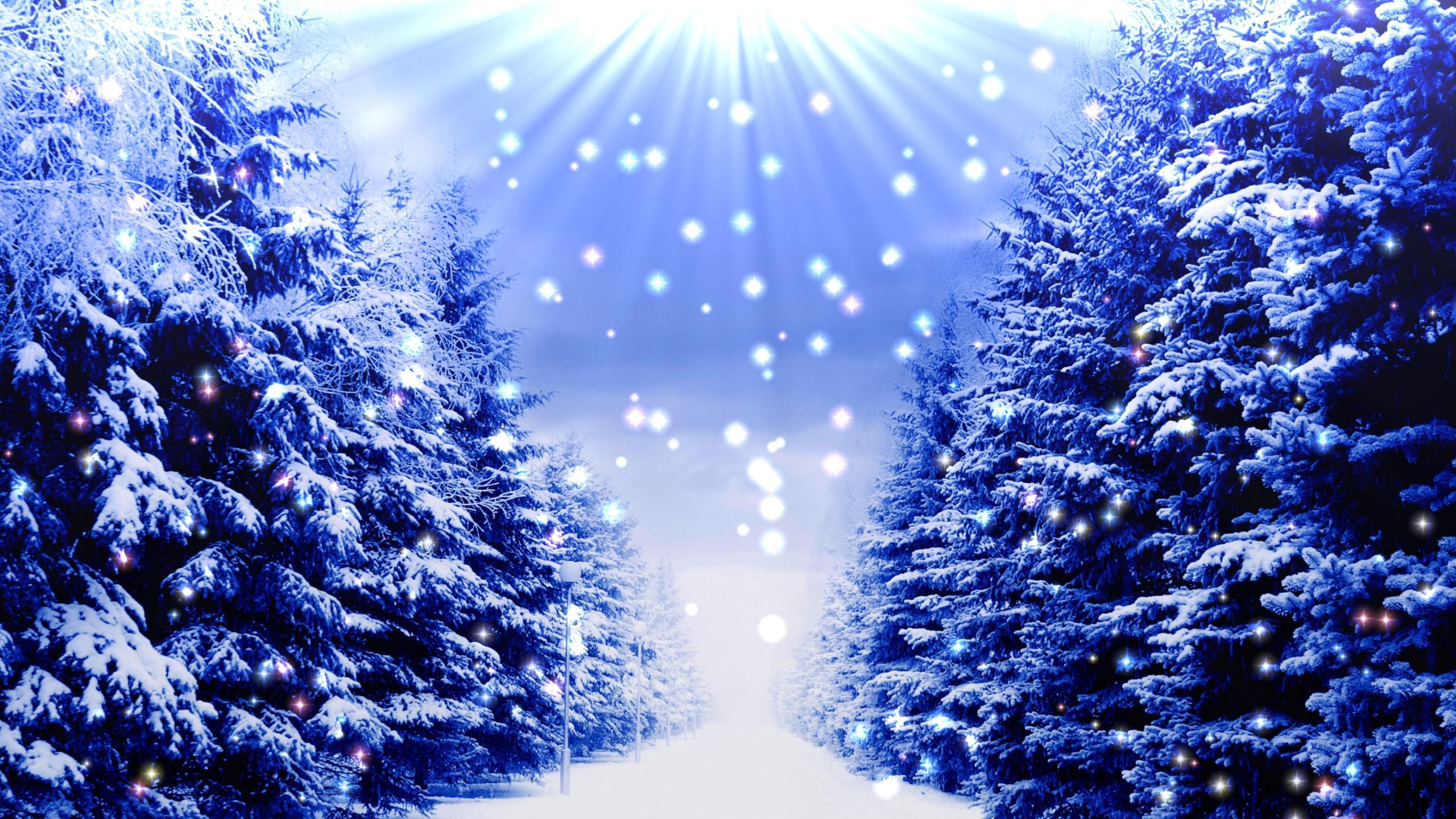 Blue Christmas Tree Desktop Wallpapers - Top Free Blue Christmas Tree ...