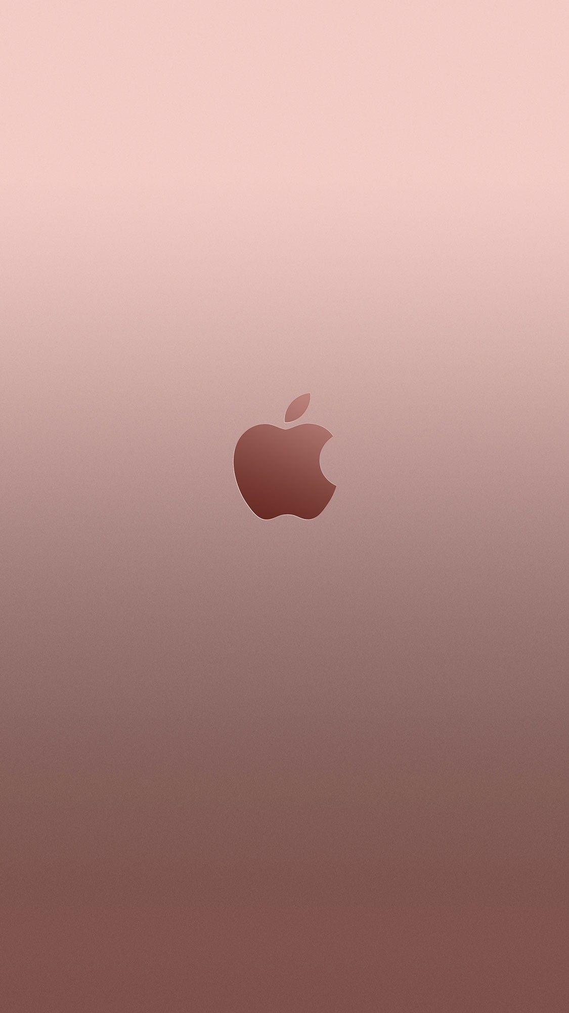 Apple iPhone Rose Wallpapers - Top Free Apple iPhone Rose Backgrounds ...