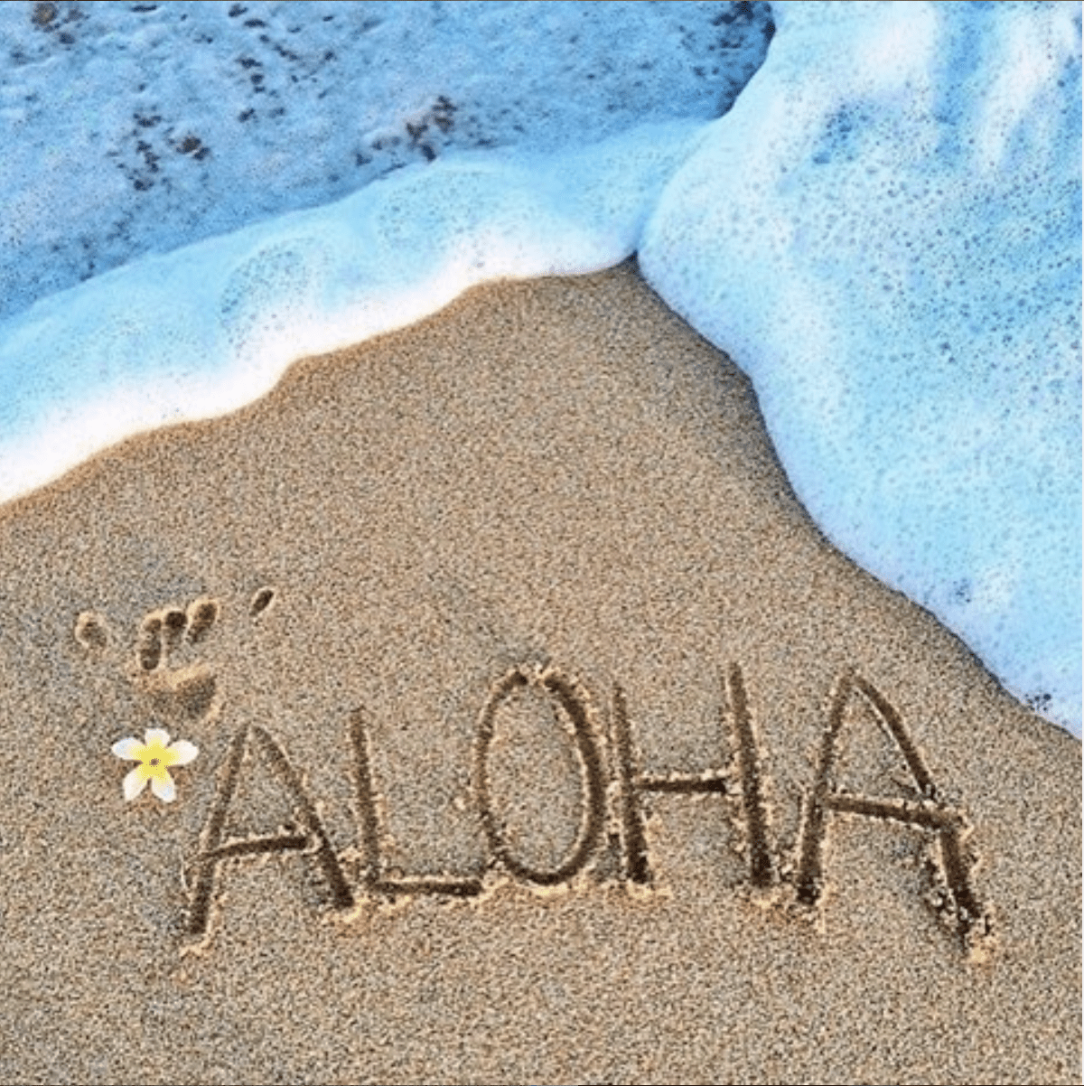 Hawaii Aesthetic Wallpapers - Top Free Hawaii Aesthetic Backgrounds ...