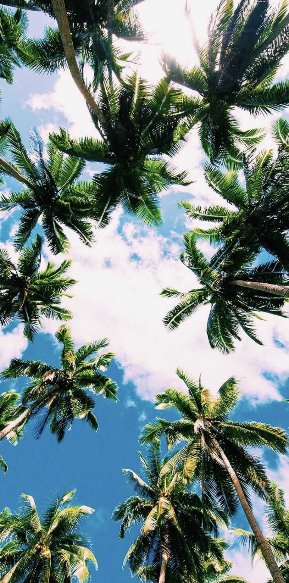 Hawaii Aesthetic Wallpapers - Top Free Hawaii Aesthetic Backgrounds ...