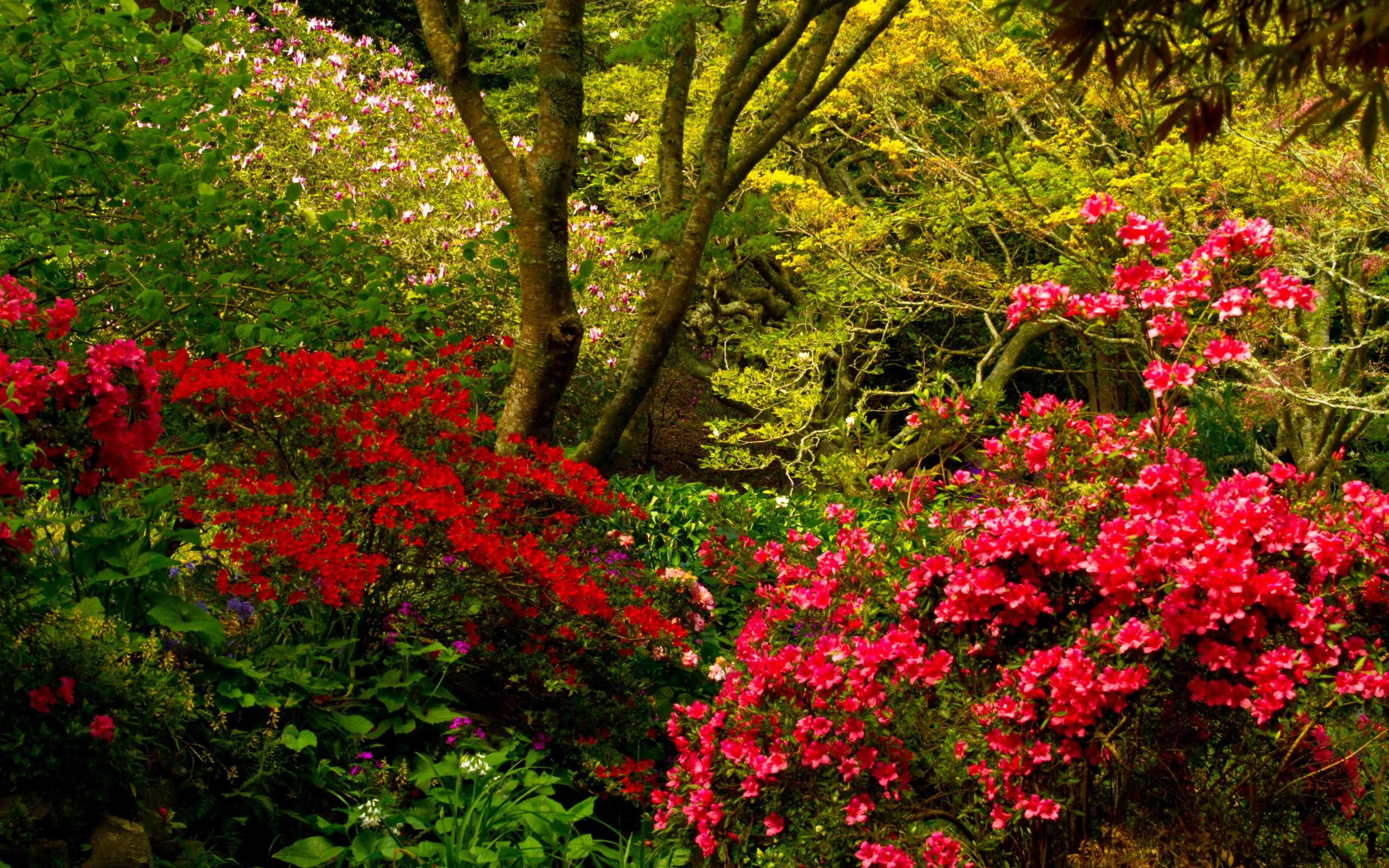 English Flower Garden Wallpapers - Top Free English Flower Garden ...