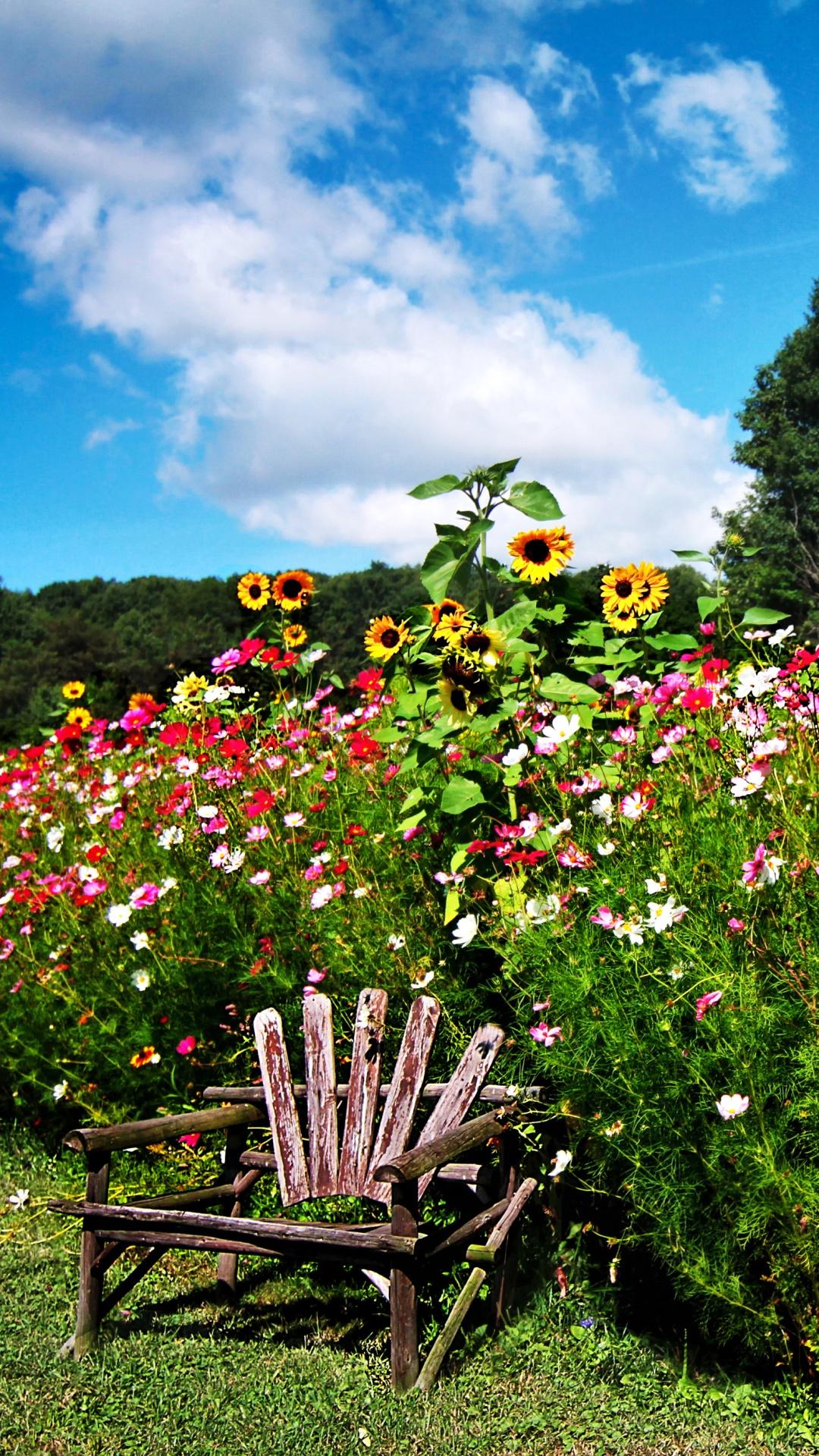 English Flower Garden Wallpapers - Top Free English Flower Garden ...
