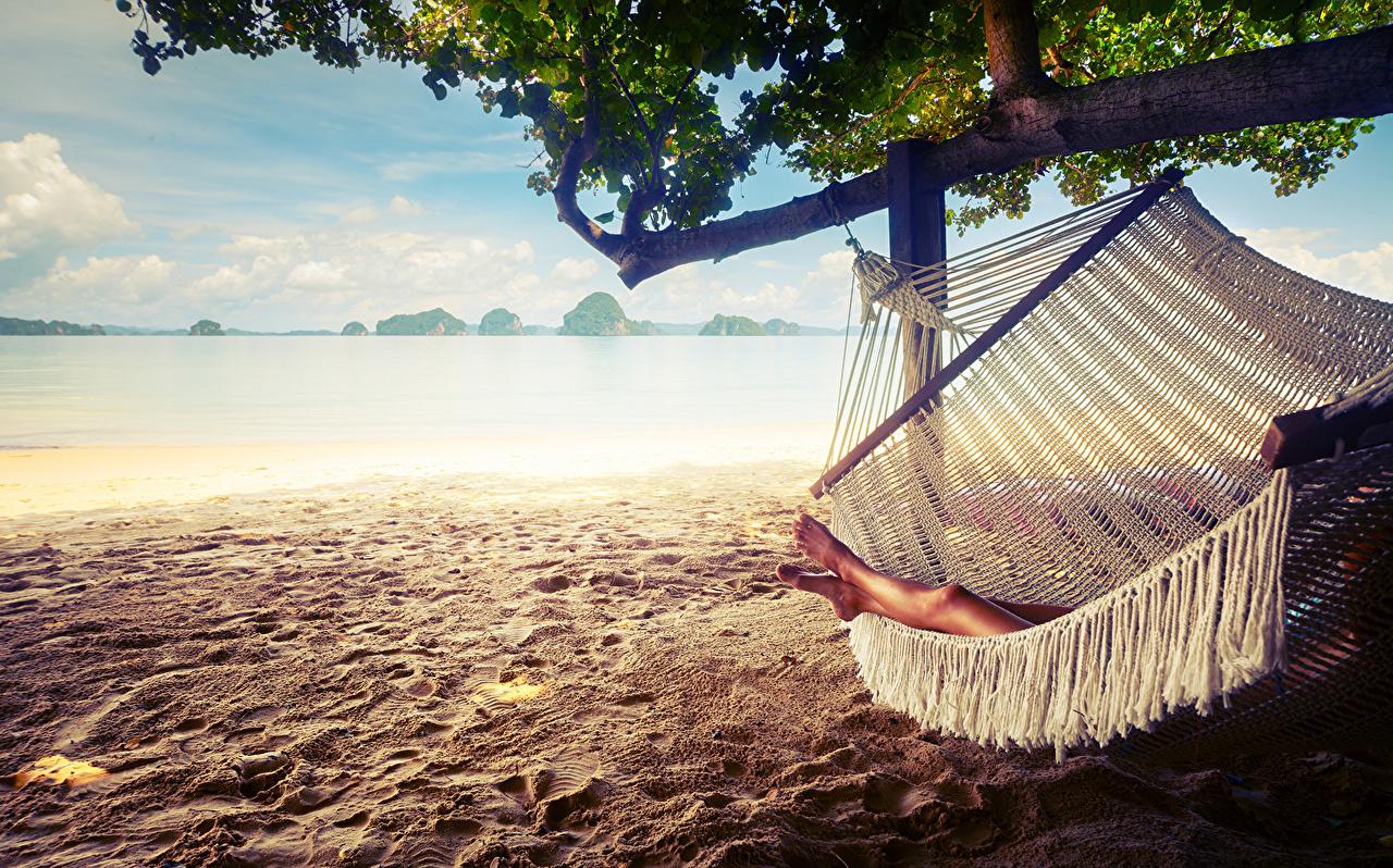 Summer Beach Hammock Wallpapers - Top Free Summer Beach Hammock Backgrounds - WallpaperAccess