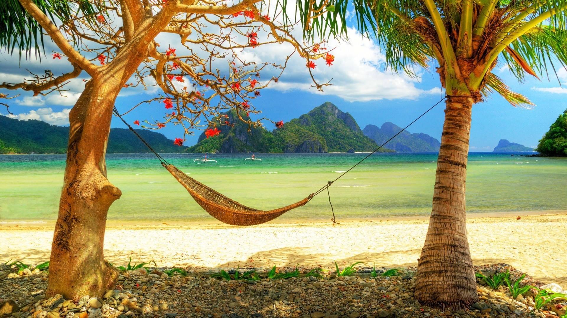 Summer Beach Hammock Wallpapers - Top Free Summer Beach Hammock Backgrounds - WallpaperAccess