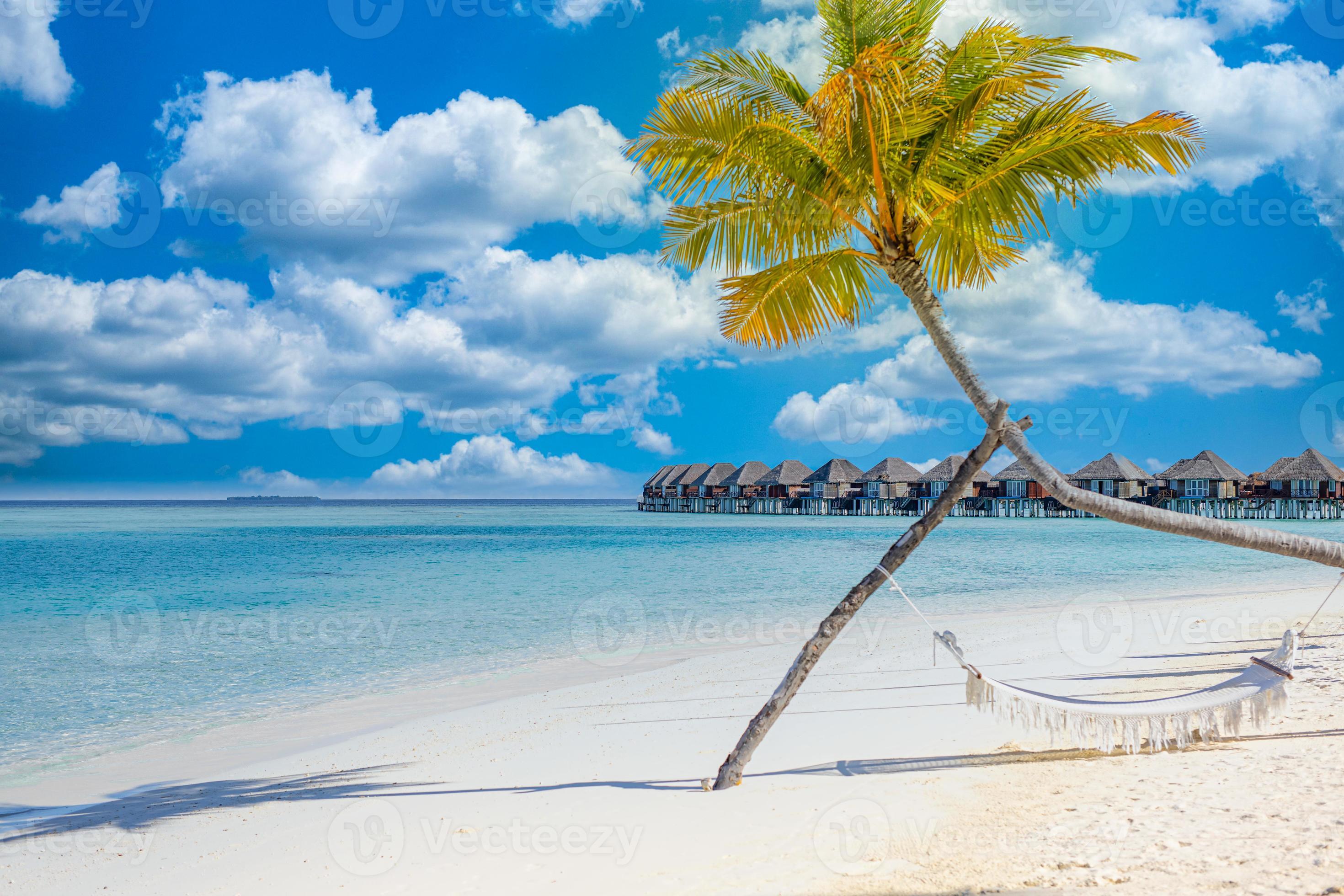 Summer Beach Hammock Wallpapers - Top Free Summer Beach Hammock Backgrounds - WallpaperAccess