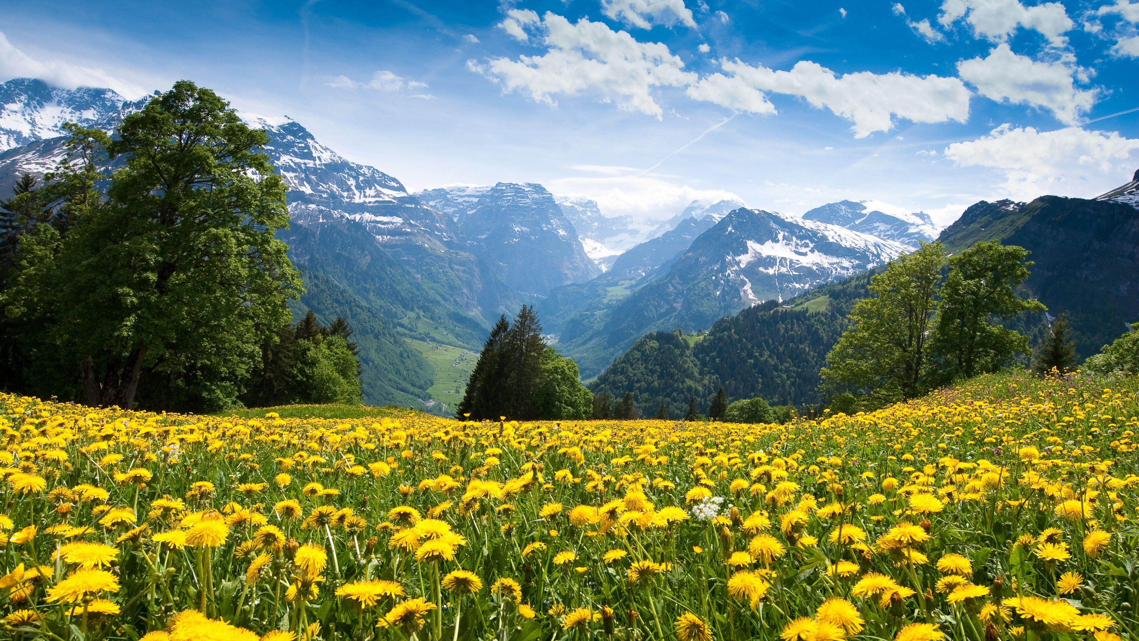 Alps 4K Wallpapers - Top Free Alps 4K Backgrounds - WallpaperAccess