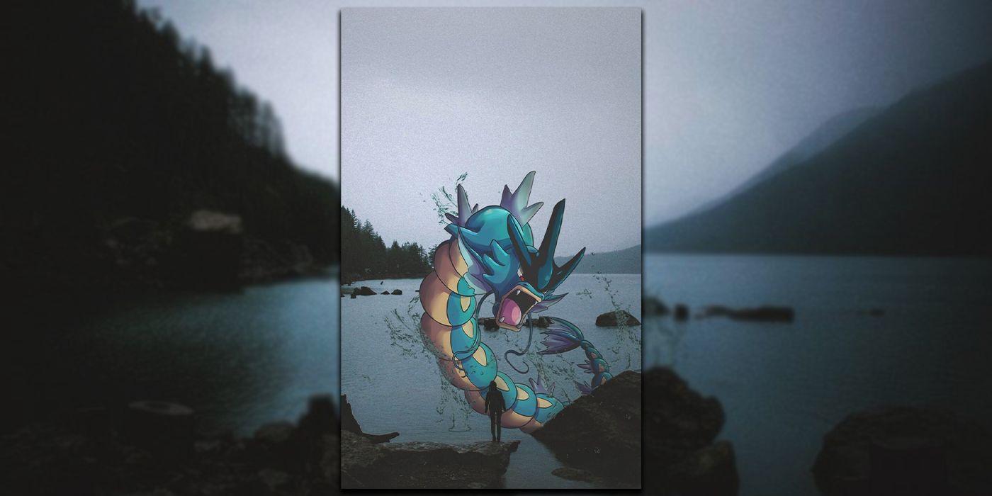 Pokémon Gyarados Wallpapers - Top Free Pokémon Gyarados Backgrounds ...