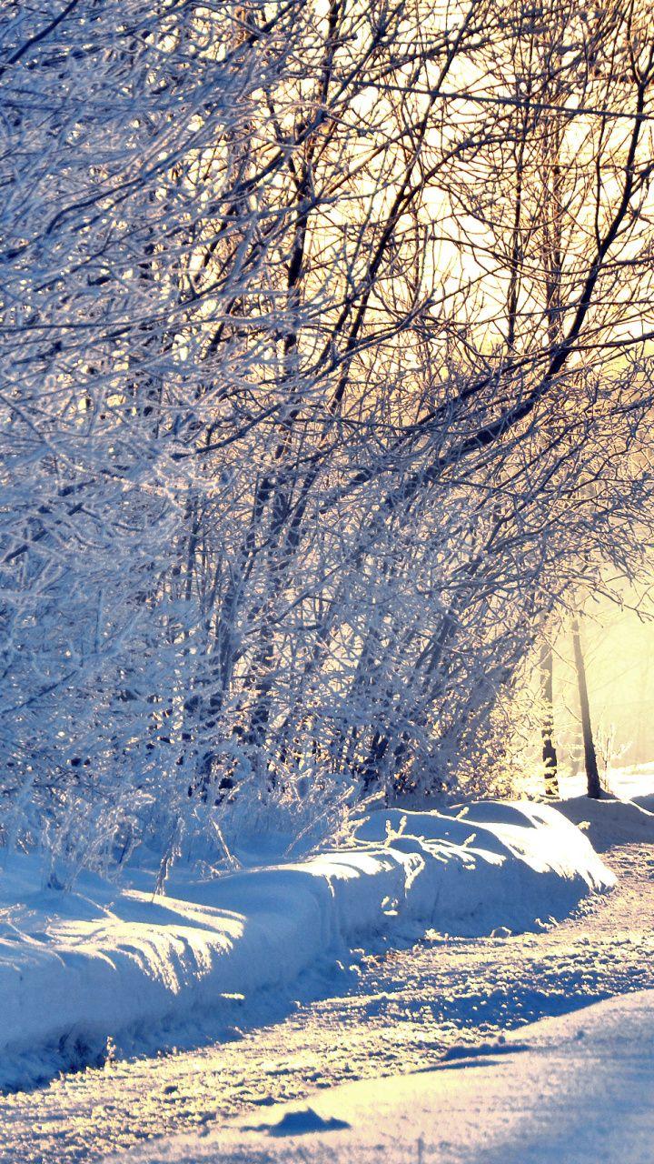 Freezing Phone Wallpapers - Top Free Freezing Phone Backgrounds ...