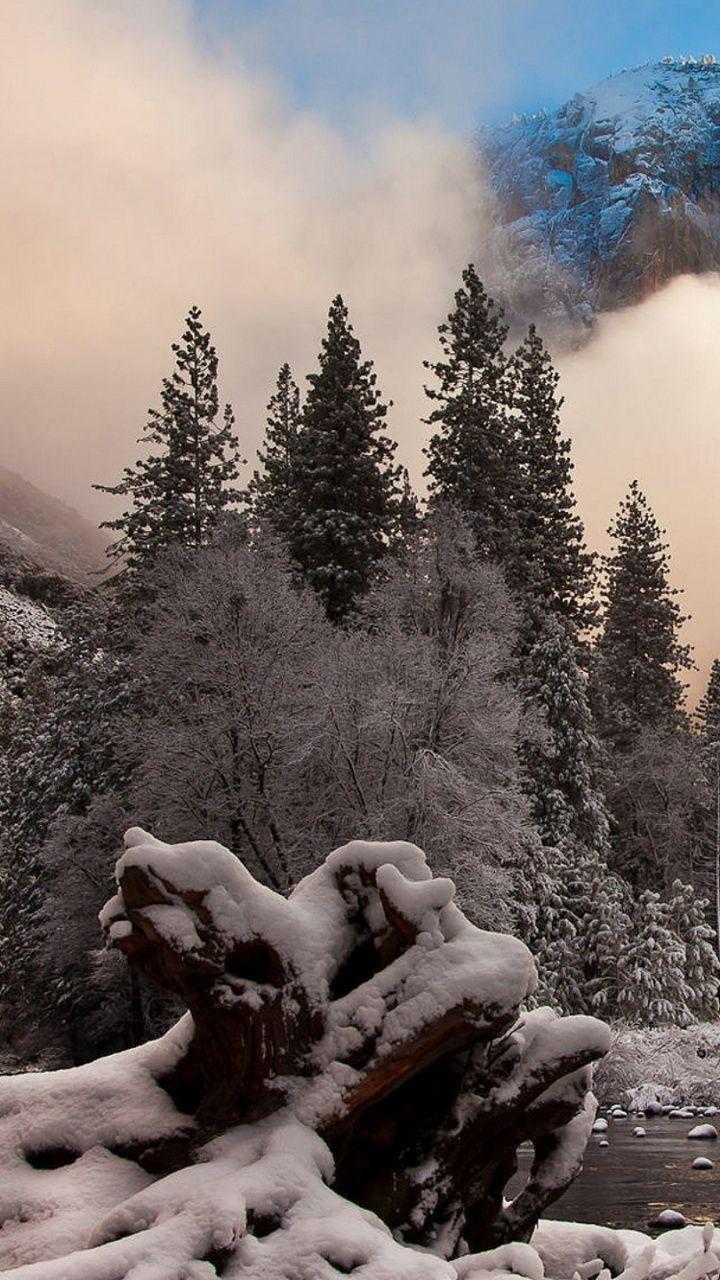 Freezing Phone Wallpapers - Top Free Freezing Phone Backgrounds ...