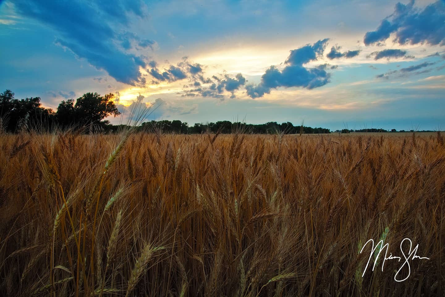 Kansas Sunset Wallpapers - Top Free Kansas Sunset Backgrounds ...
