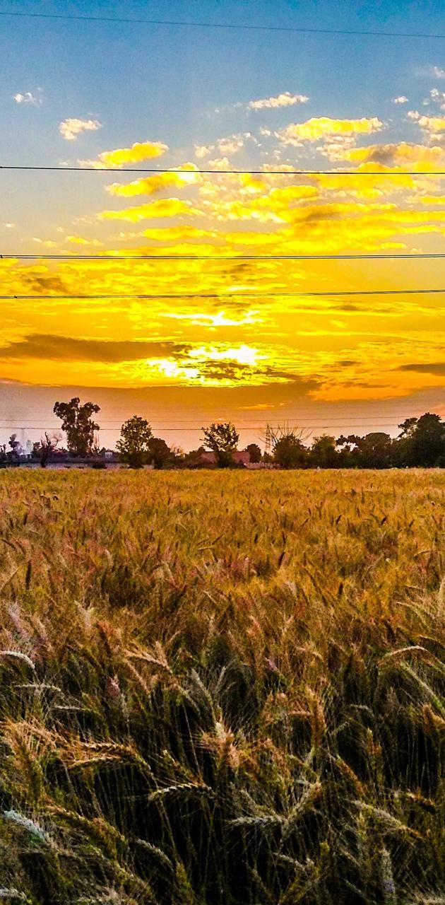 Kansas Sunset Wallpapers - Top Free Kansas Sunset Backgrounds ...