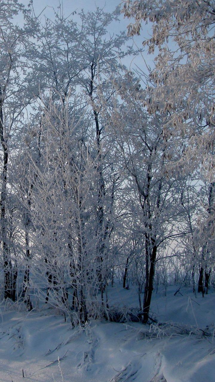 Freezing Phone Wallpapers - Top Free Freezing Phone Backgrounds ...