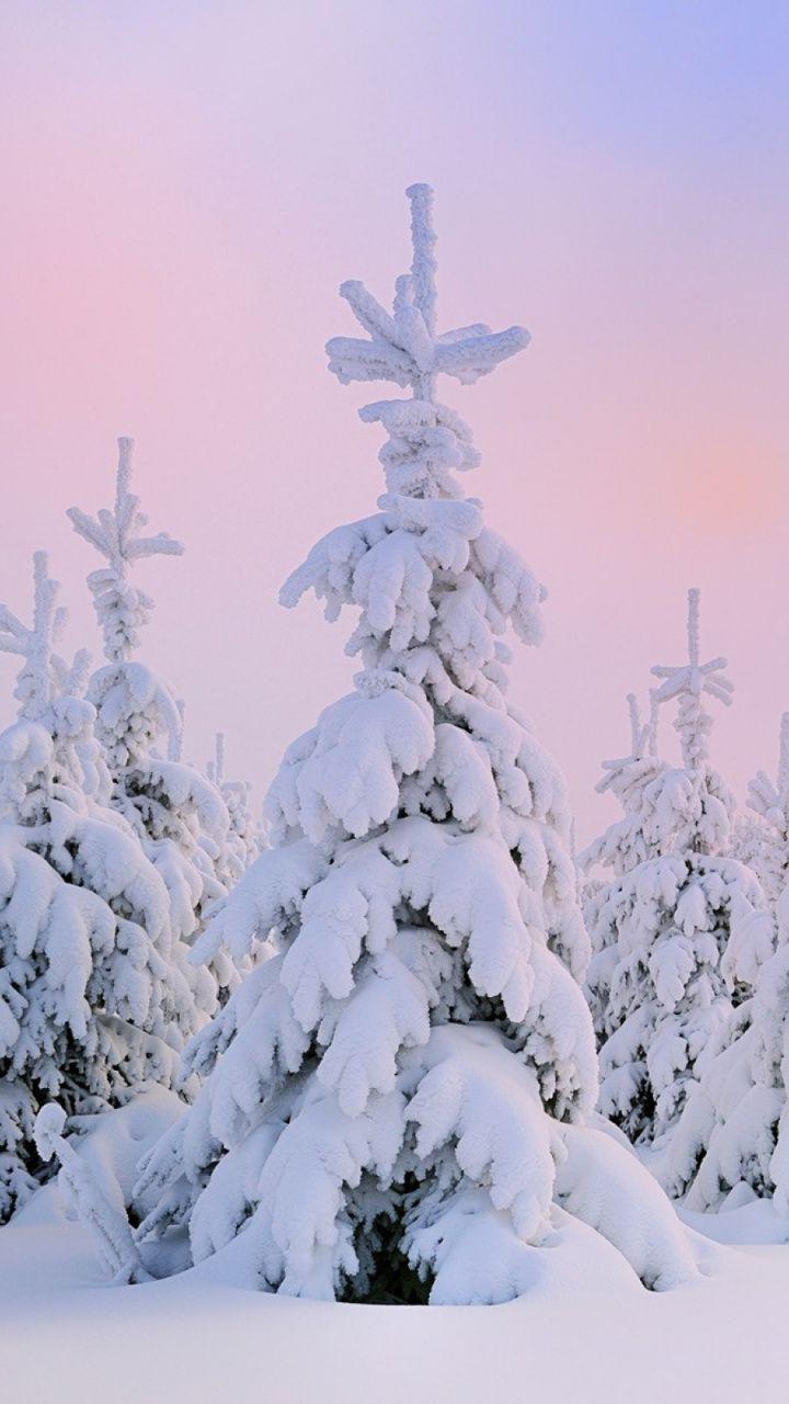 Freezing Phone Wallpapers - Top Free Freezing Phone Backgrounds ...