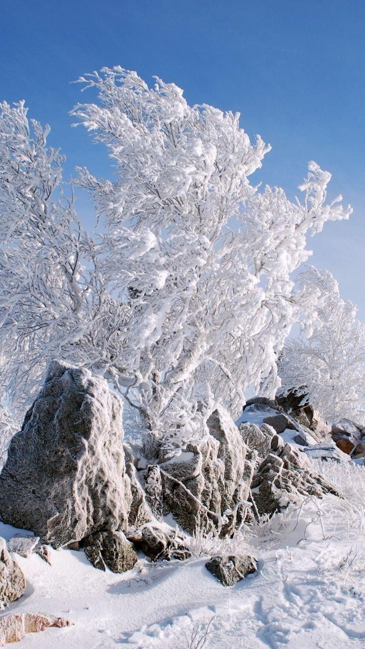 Freezing Phone Wallpapers - Top Free Freezing Phone Backgrounds ...