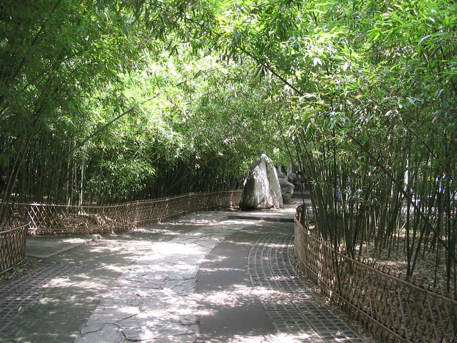 Chinese Bamboo Forest Wallpapers - Top Free Chinese Bamboo Forest ...