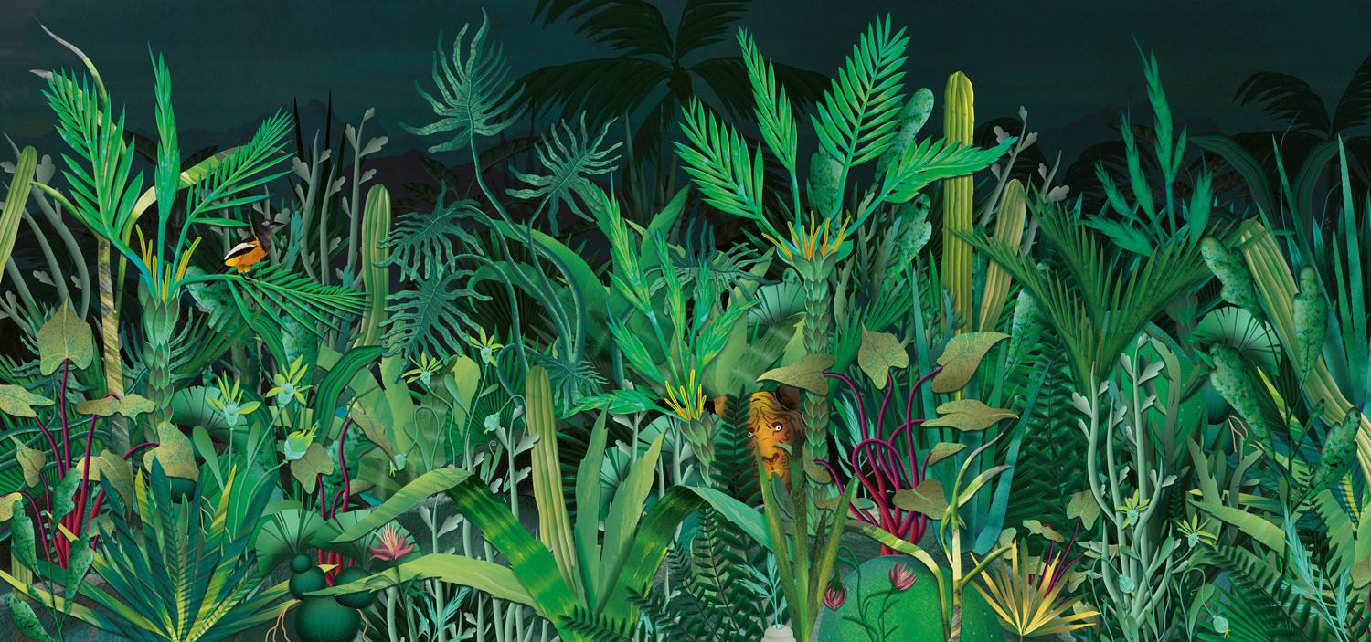Jungle Illustration Wallpapers - Top Free Jungle Illustration ...