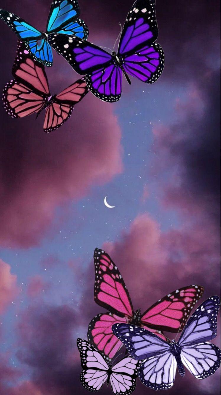 Small Butterflies Wallpapers - Top Free Small Butterflies Backgrounds ...