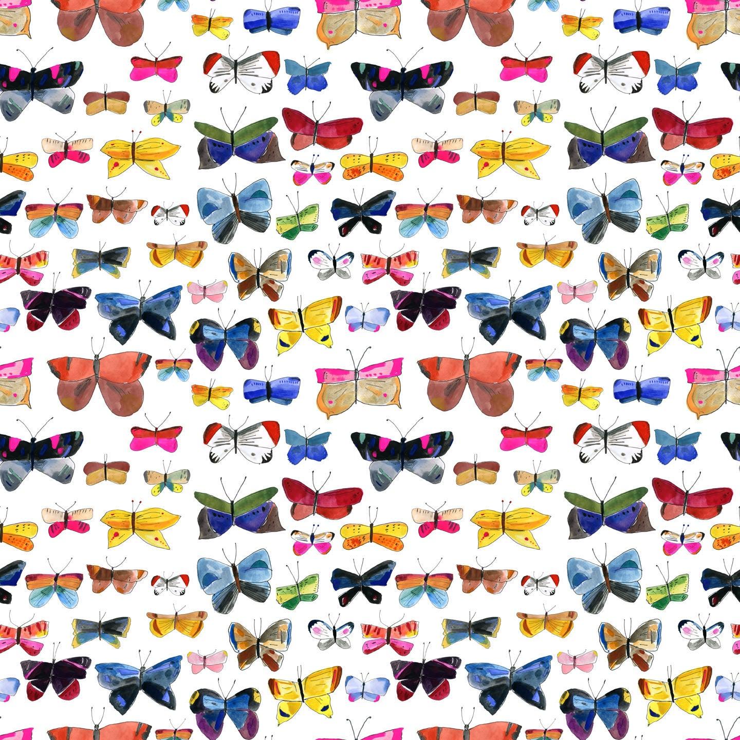 Small Butterflies Wallpapers - Top Free Small Butterflies Backgrounds ...