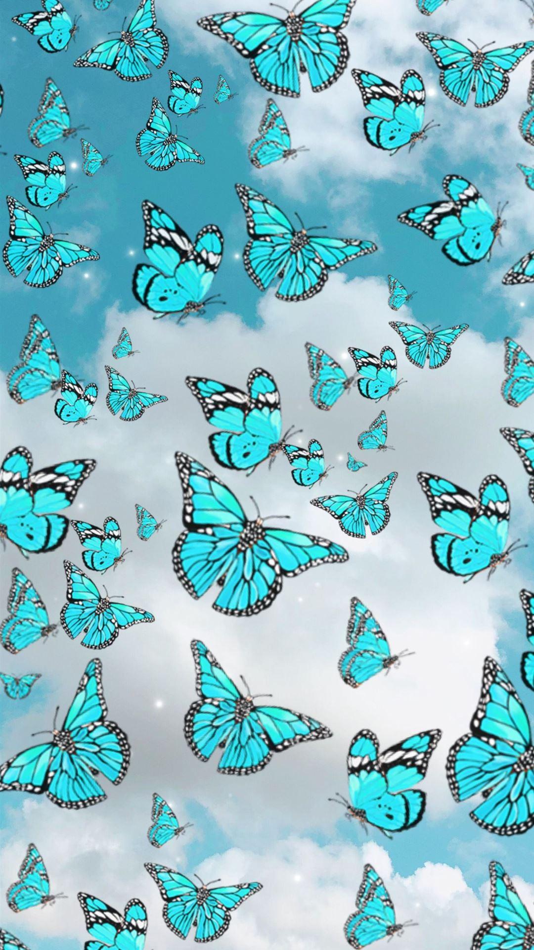 Small Butterflies Wallpapers - Top Free Small Butterflies Backgrounds ...
