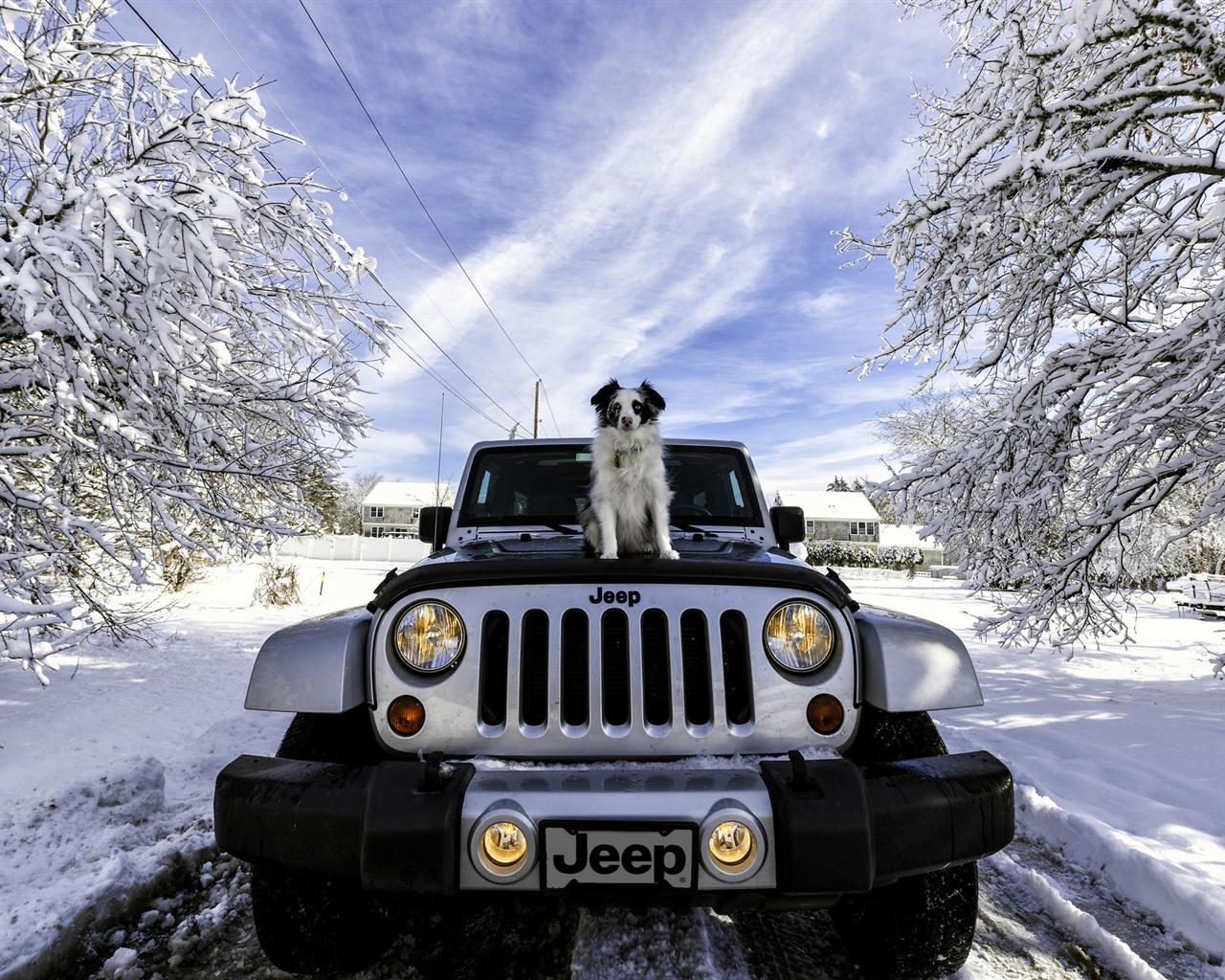1280X1024 Jeep Wallpapers - Top Free 1280X1024 Jeep Backgrounds ...