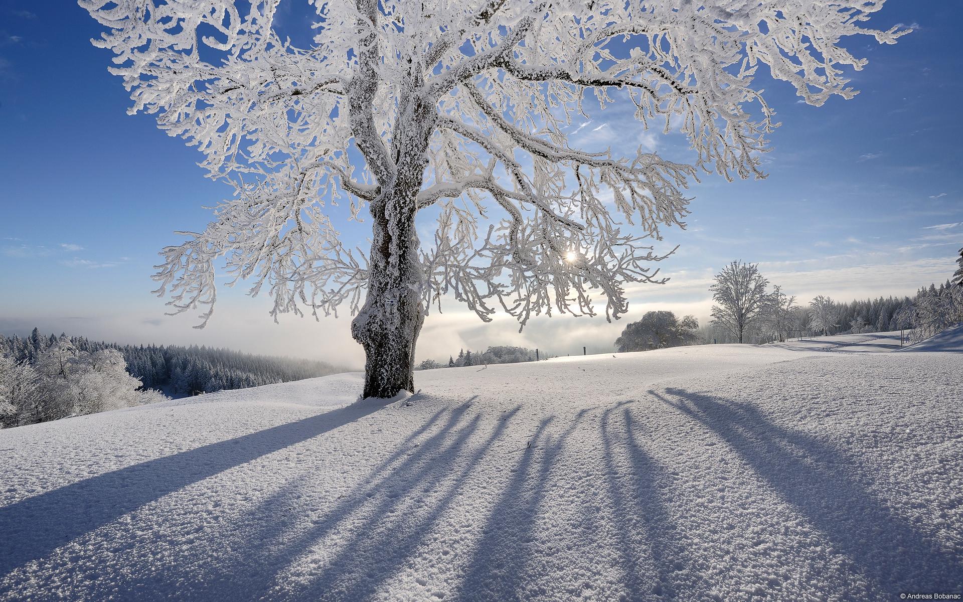 Beautiful Winter Wonderland Wallpapers - Top Free Beautiful Winter ...