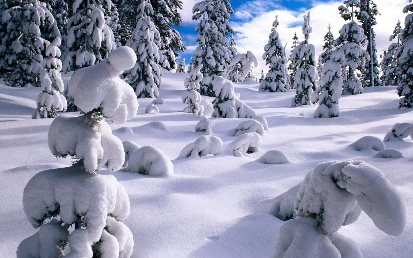 Beautiful Winter Wonderland Wallpapers - Top Free Beautiful Winter ...