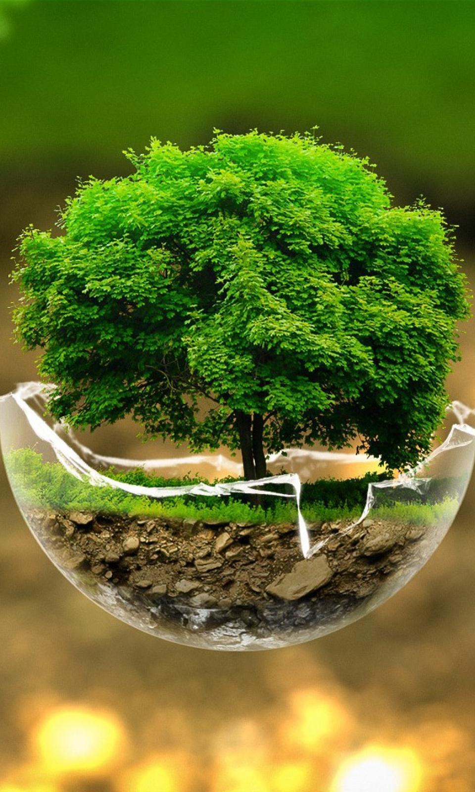 Beautiful Green Nature Wallpapers - Top Free Beautiful Green Nature ...