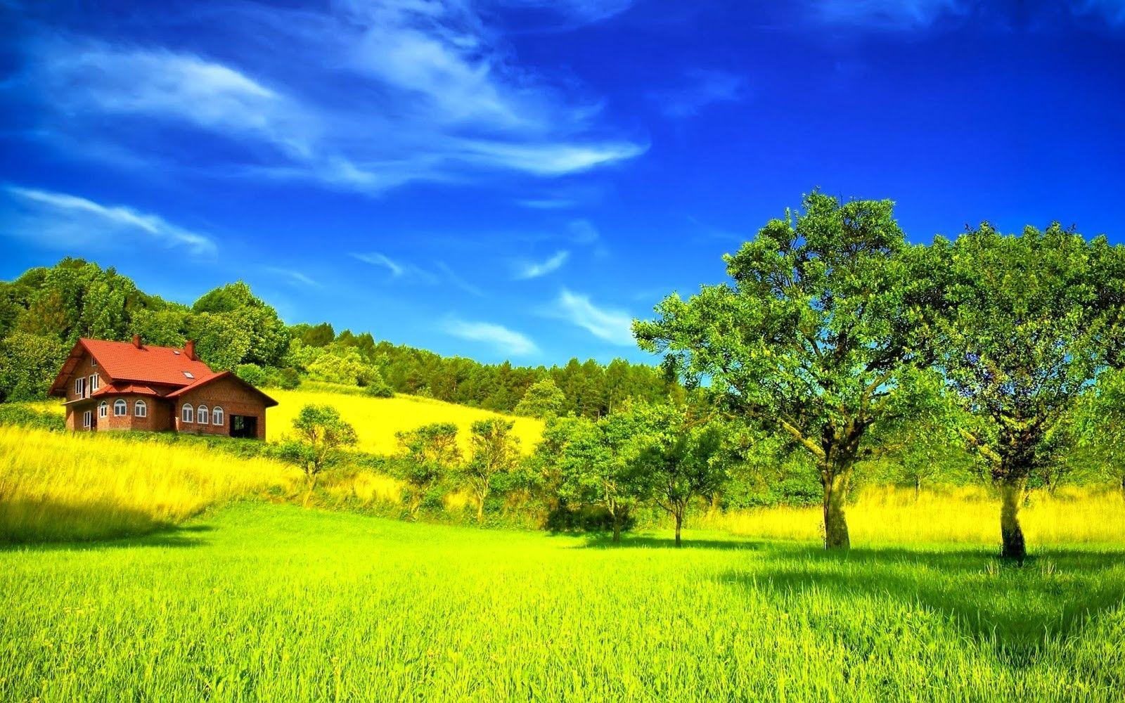 Beautiful Green Nature Wallpapers - Top Free Beautiful Green Nature ...