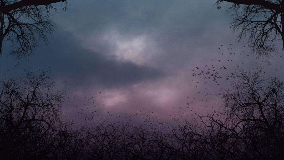 Beautiful Creepy Wallpapers - Top Free Beautiful Creepy Backgrounds ...