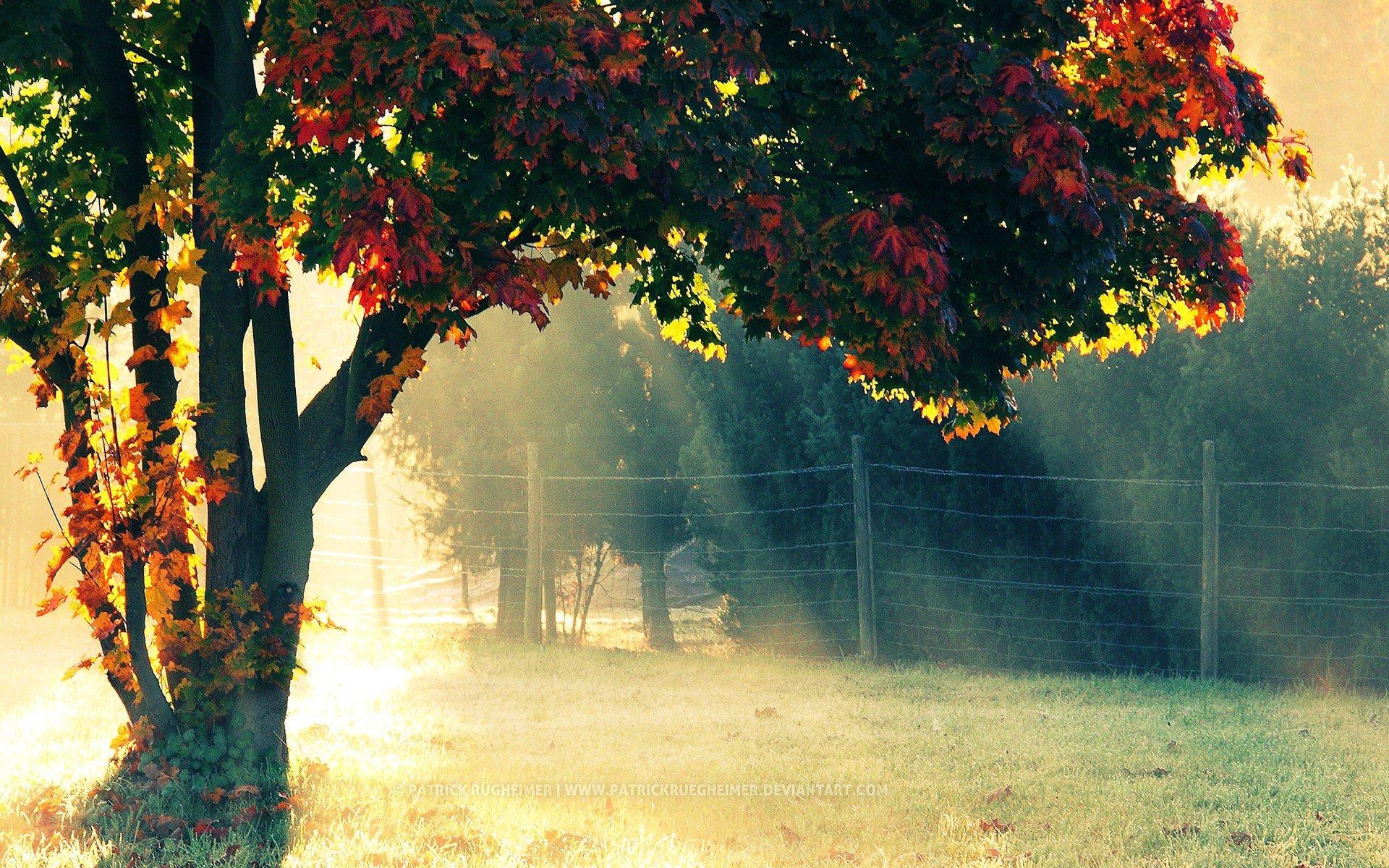 Autumn Morning Wallpapers - Top Free Autumn Morning Backgrounds ...