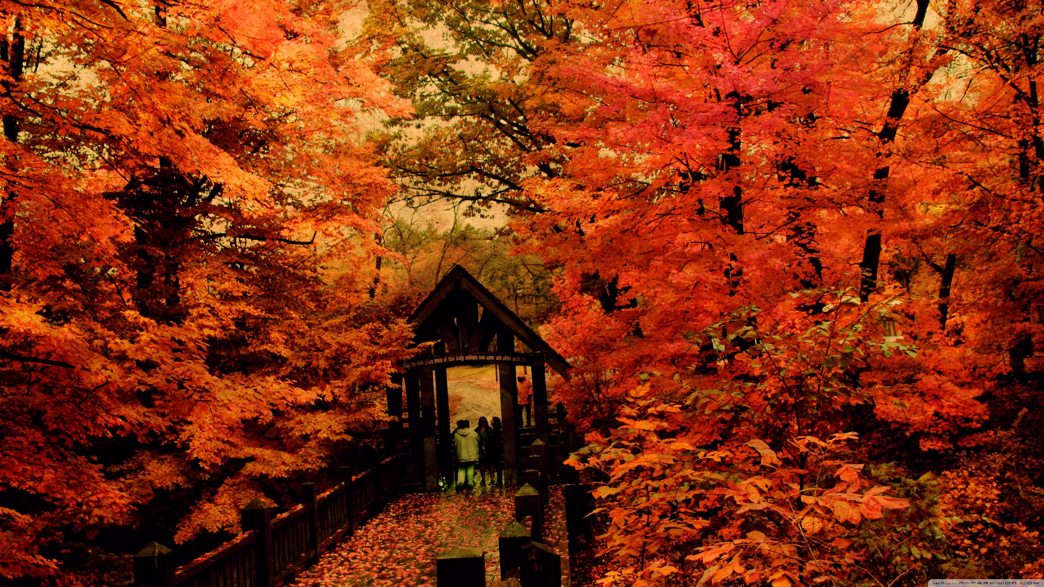 Autumn Morning Wallpapers - Top Free Autumn Morning Backgrounds ...