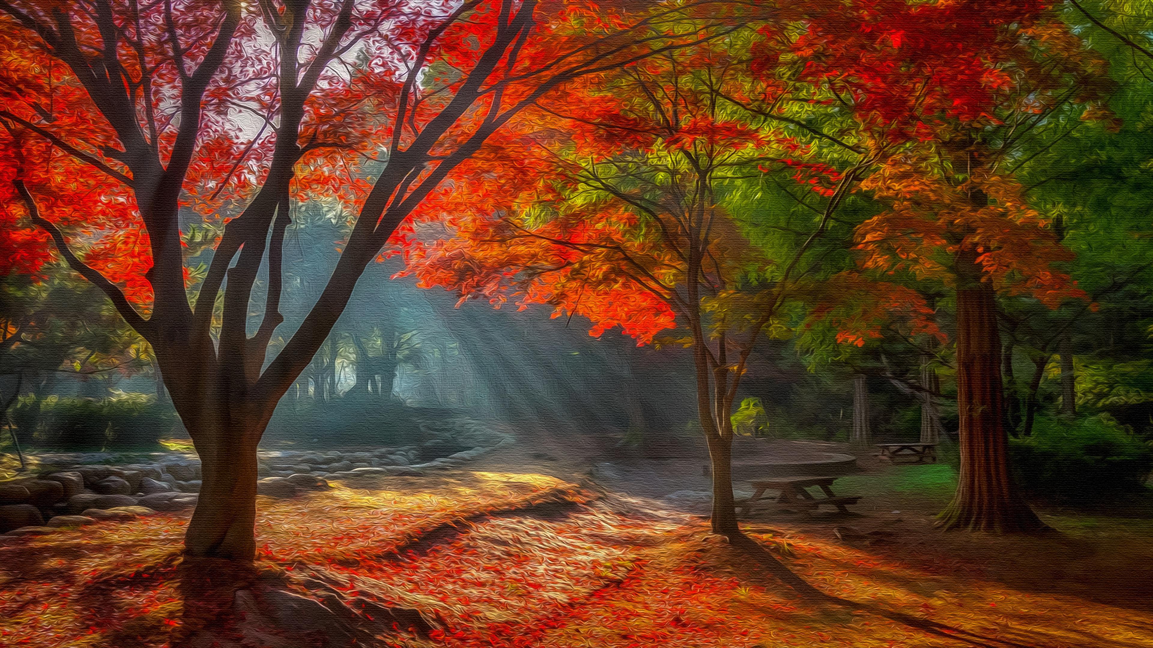 Autumn Morning Wallpapers - Top Free Autumn Morning Backgrounds ...