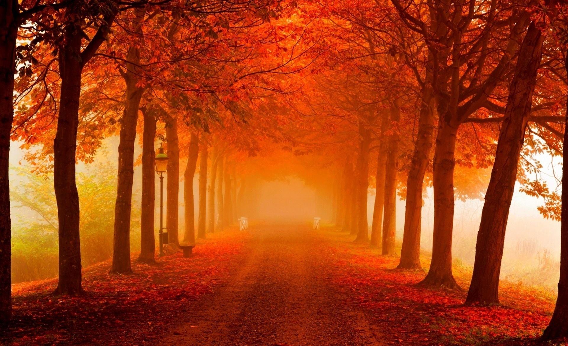 Autumn Morning Wallpapers - Top Free Autumn Morning Backgrounds ...