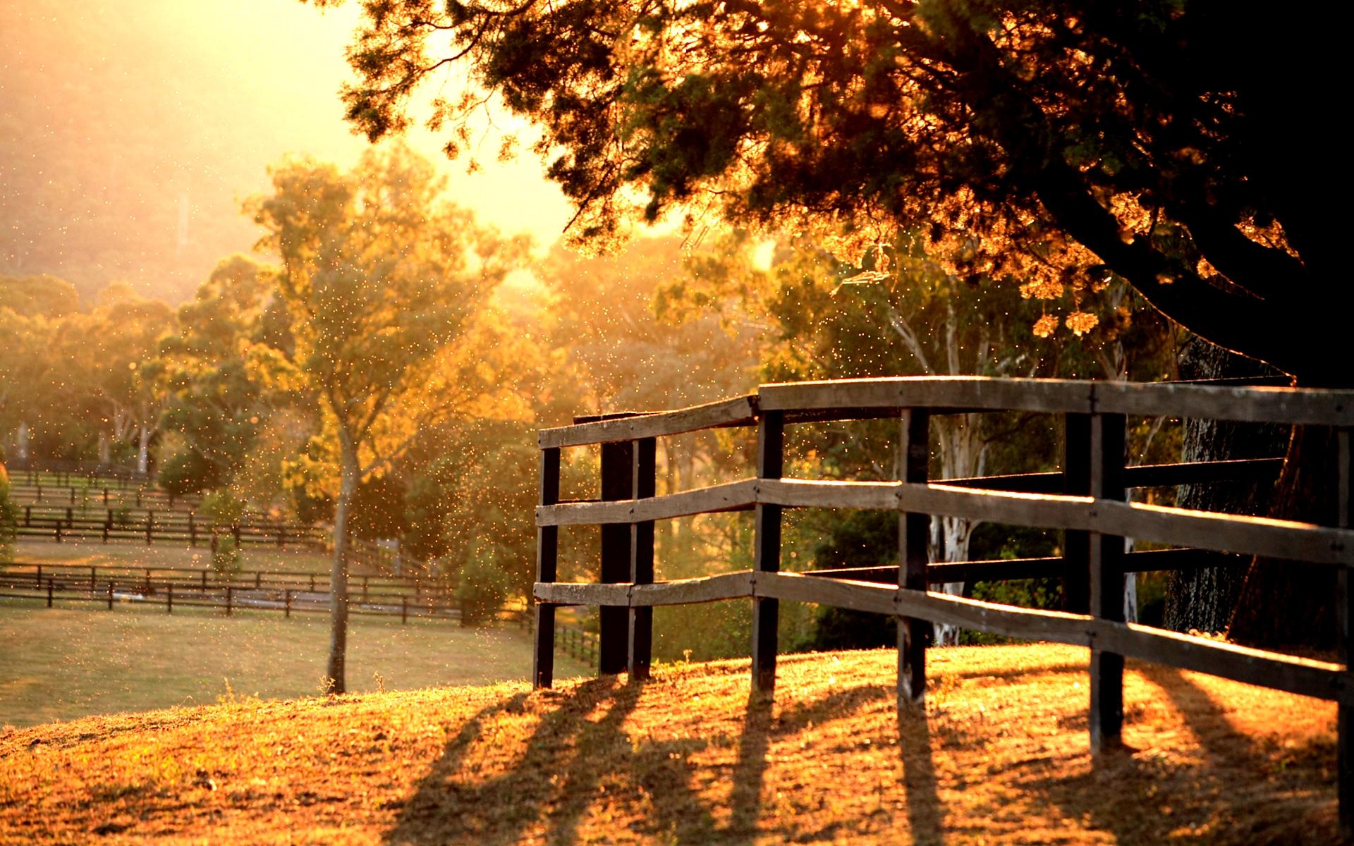 Autumn Morning Wallpapers - Top Free Autumn Morning Backgrounds ...