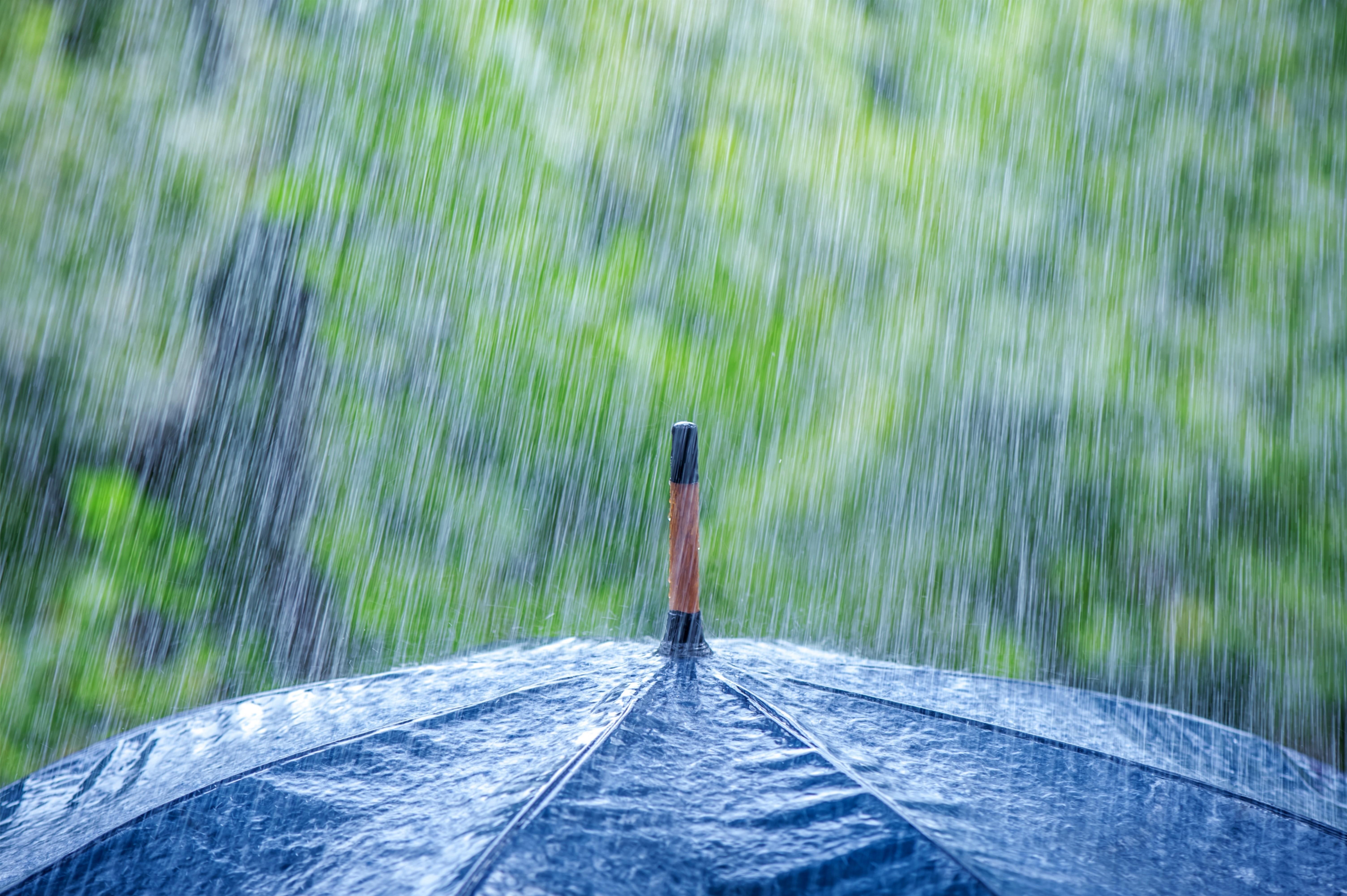 4K Rainy Day Wallpapers - Top Free 4K Rainy Day Backgrounds ...