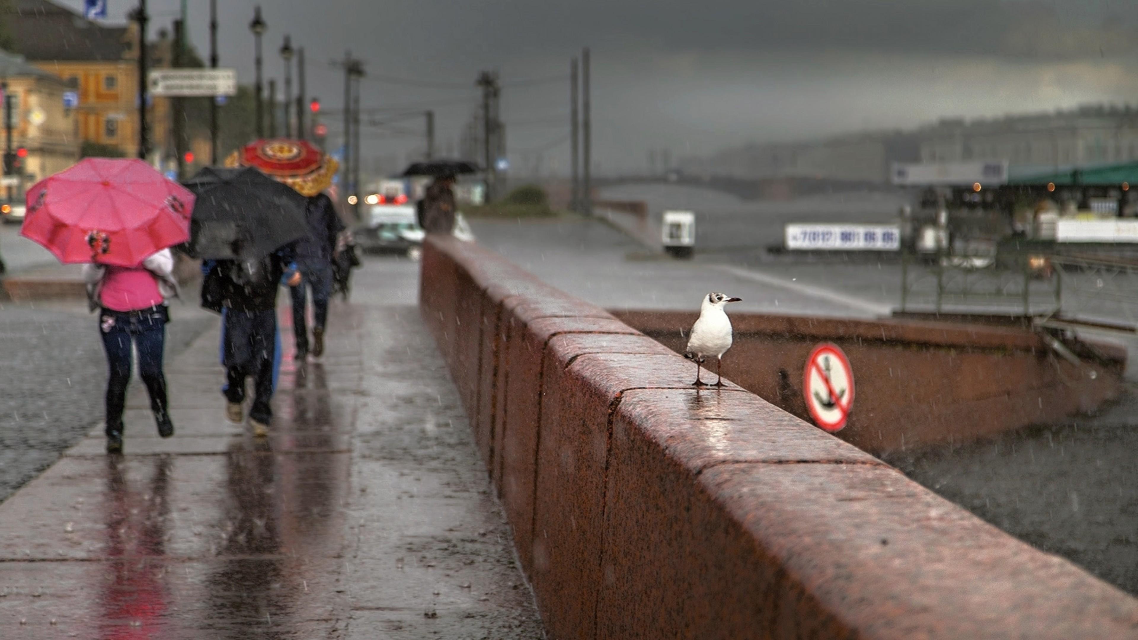 4K Rainy Day Wallpapers - Top Free 4K Rainy Day Backgrounds ...