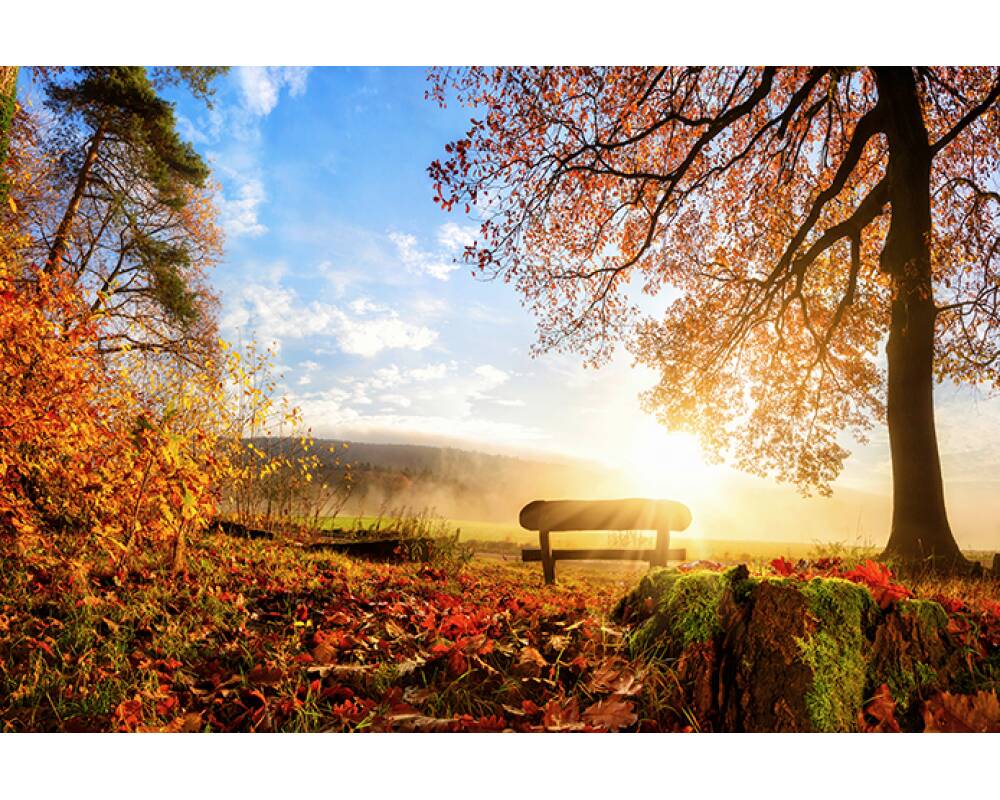 Autumn Morning Wallpapers - Top Free Autumn Morning Backgrounds ...