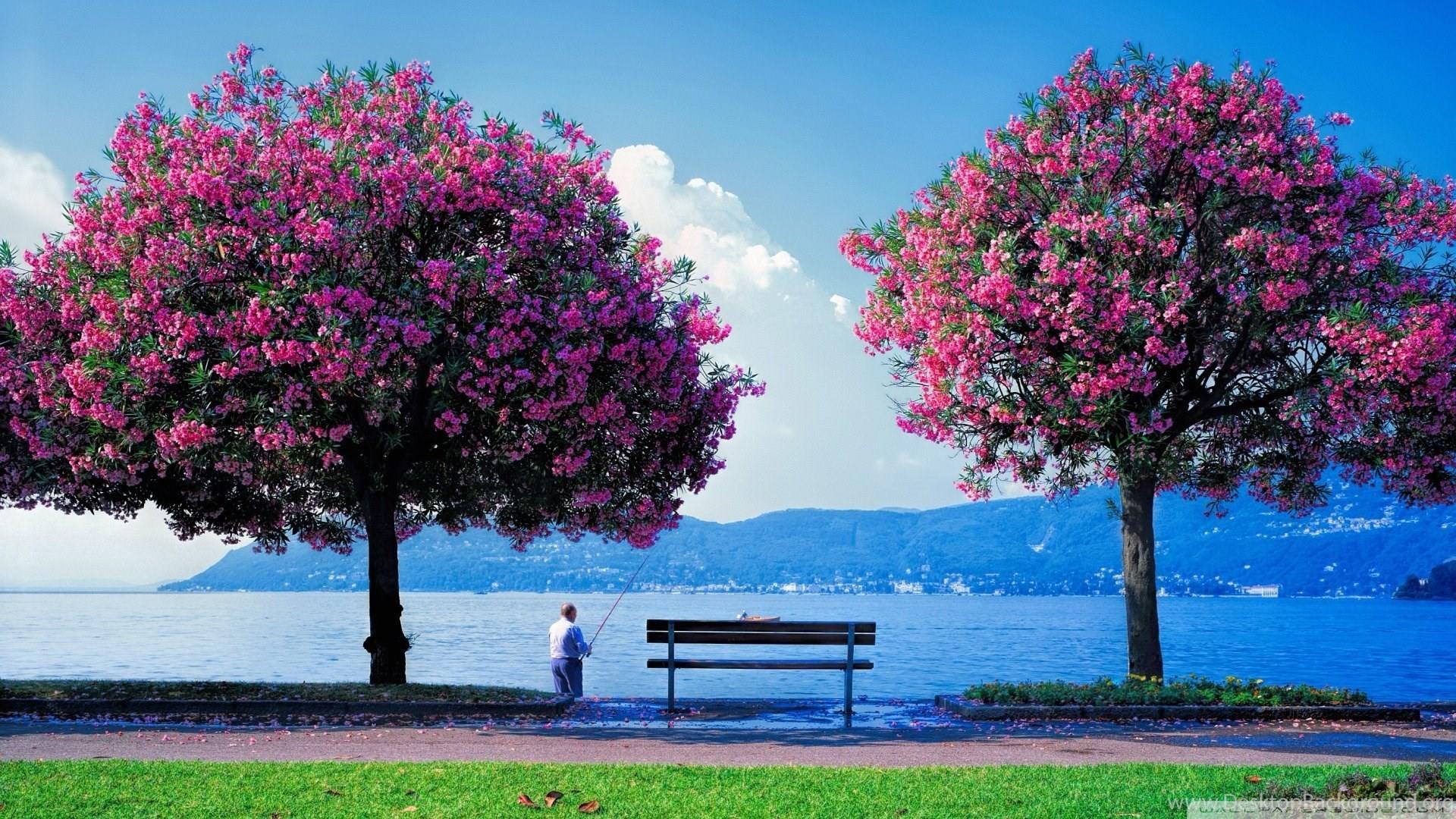 Beautiful Places Desktop Wallpapers - Top Free Beautiful Places Desktop ...