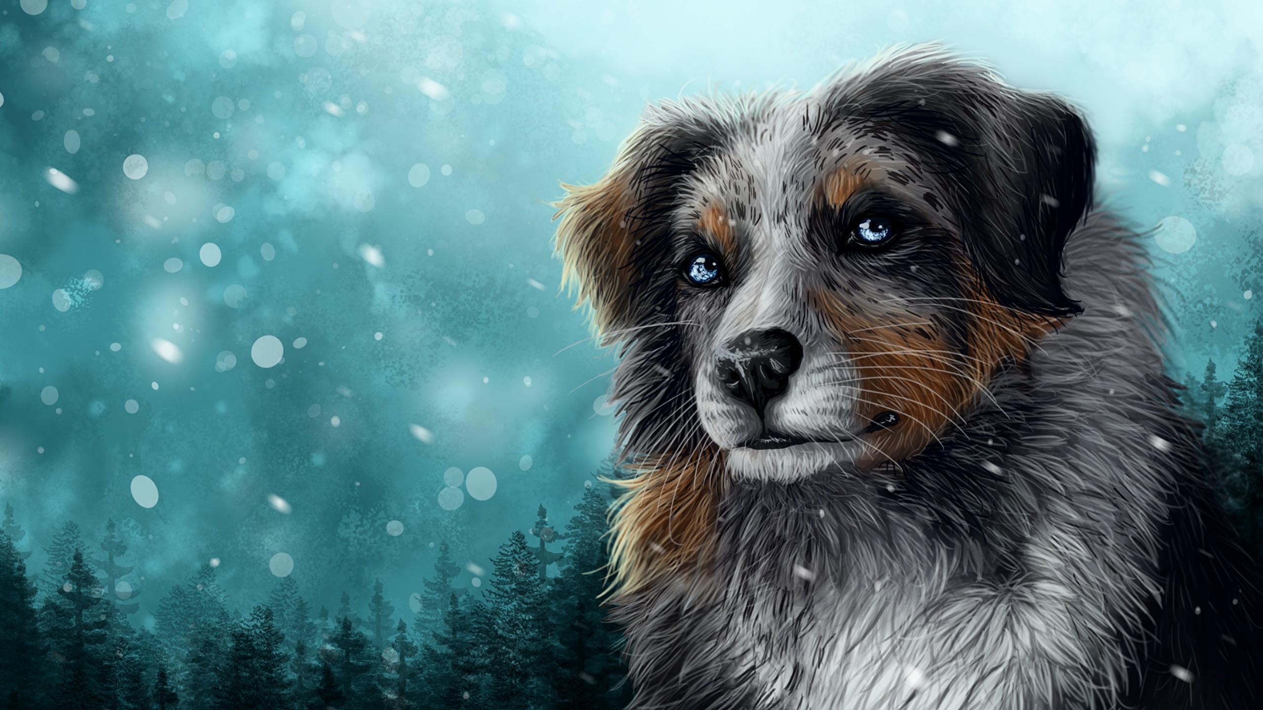 2560X1440 Dog Wallpapers - Top Free 2560X1440 Dog Backgrounds ...