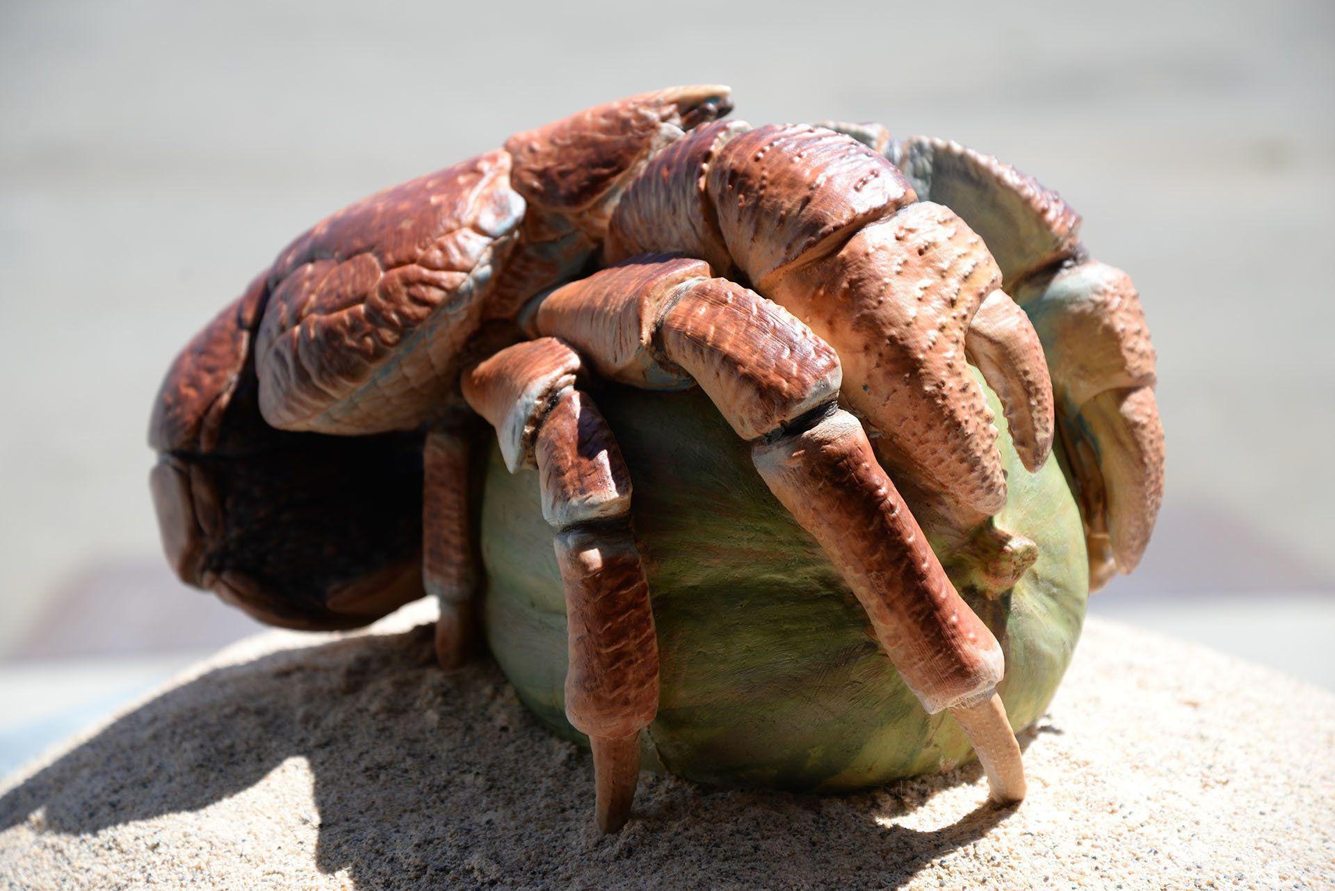 Crab Desktop Wallpapers - Top Free Crab Desktop Backgrounds ...